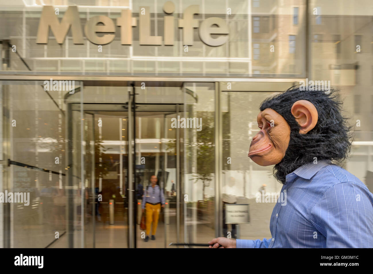 New York, United States. 23rd Aug, 2016. NYCLASS, Animals Battalion and ...