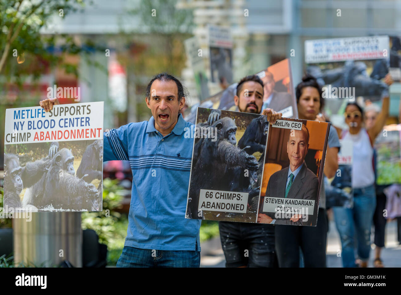 Save the chimps hi-res stock photography and images - Alamy