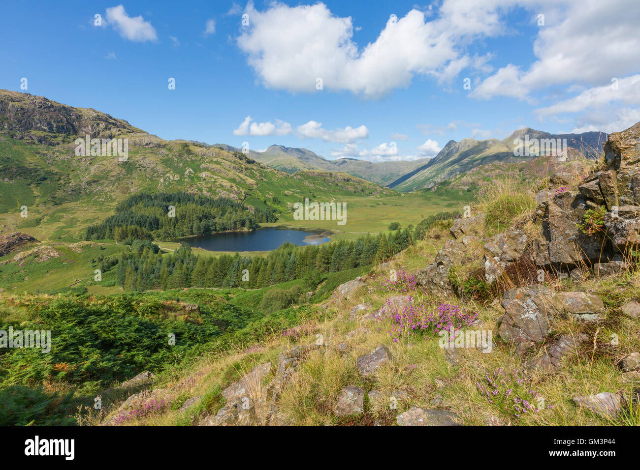 Blea Tarn, Lake District Stock Photo - Alamy