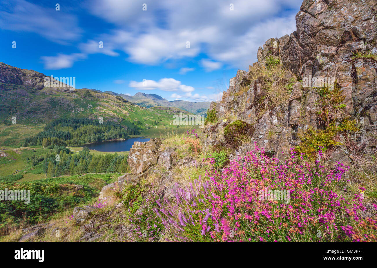 Blea Tarn, Lake District Stock Photo - Alamy