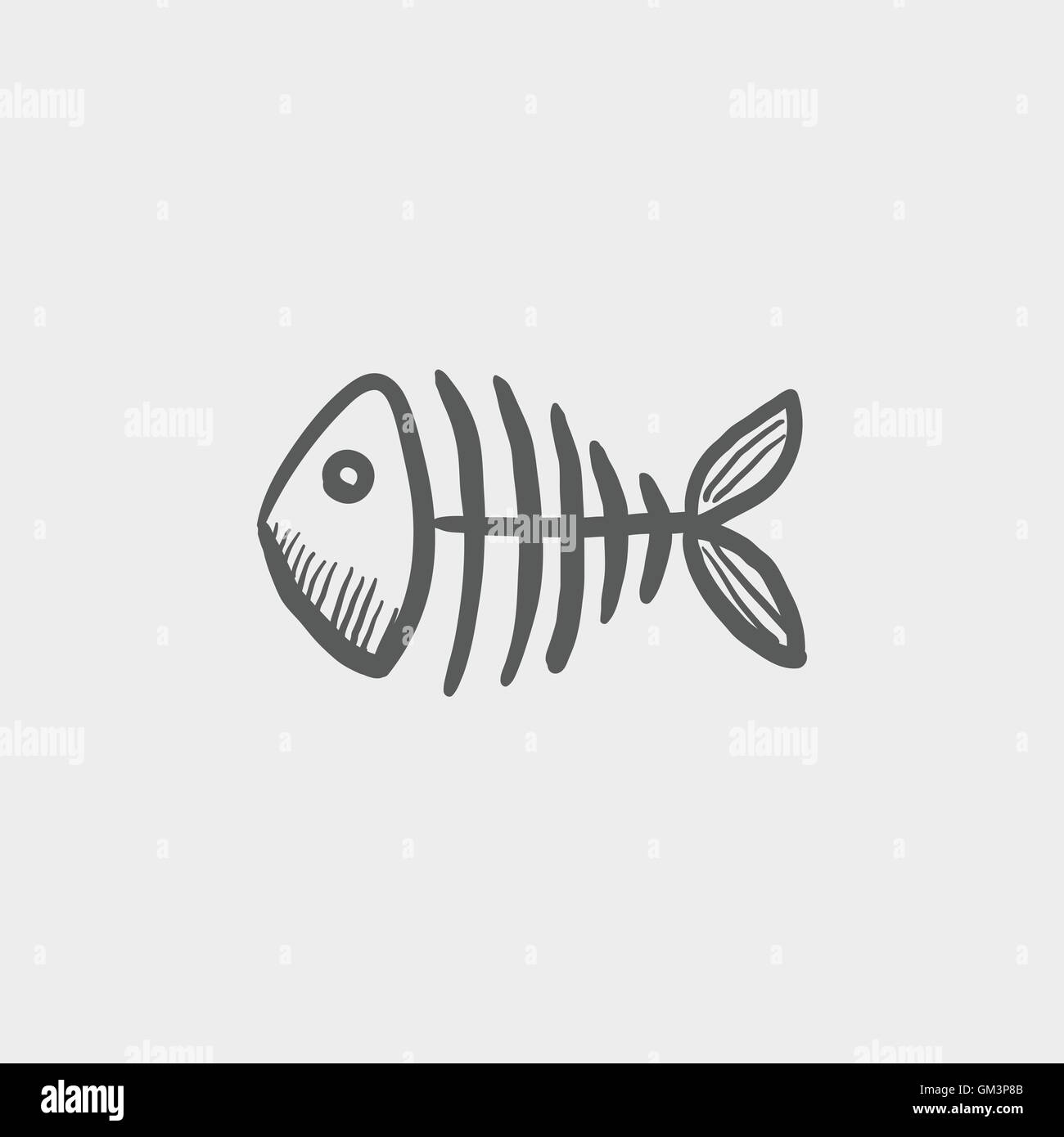 Skeleton hand skull web hi-res stock photography and images - Alamy