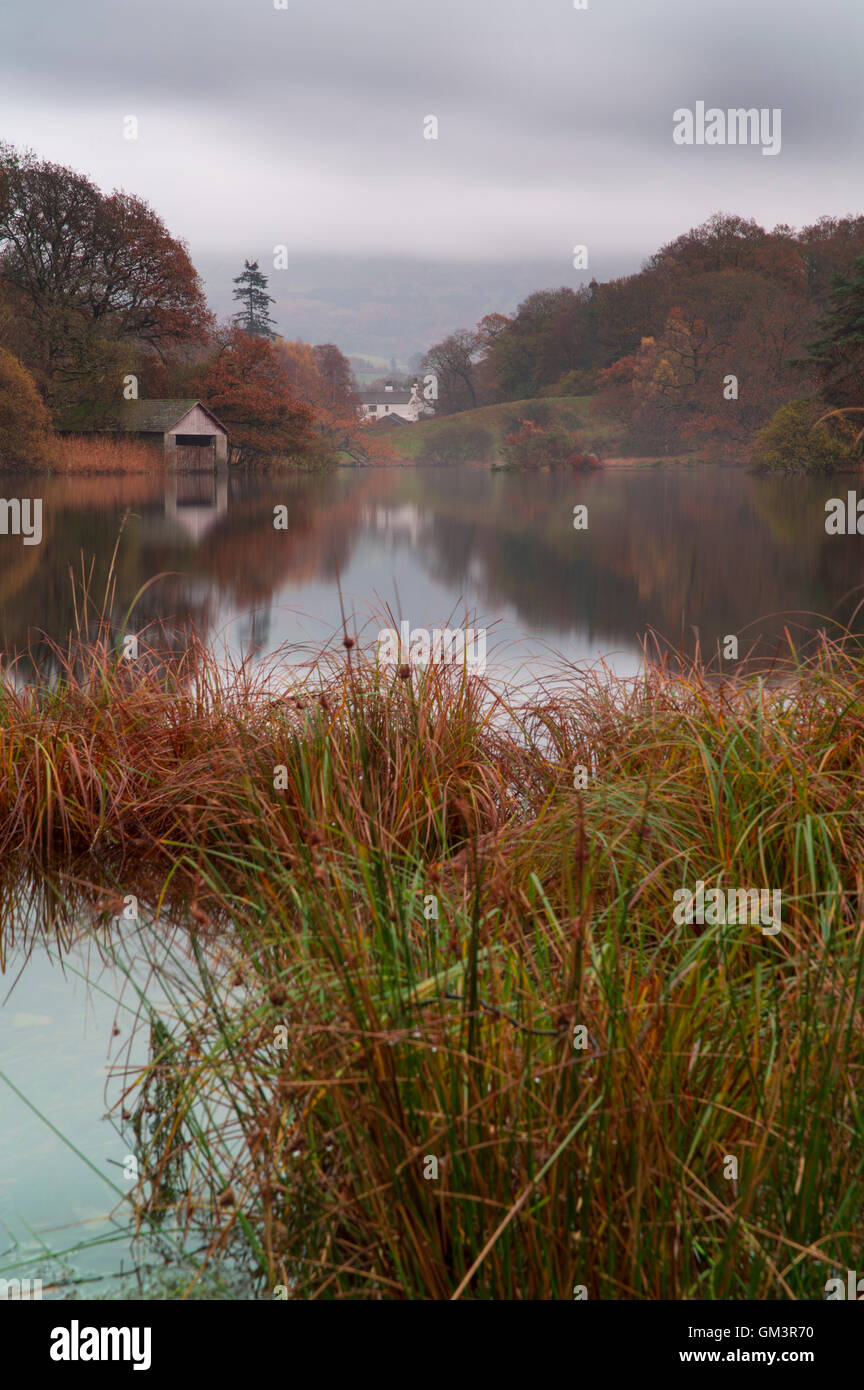 Rydal water, Lake District Stock Photo - Alamy