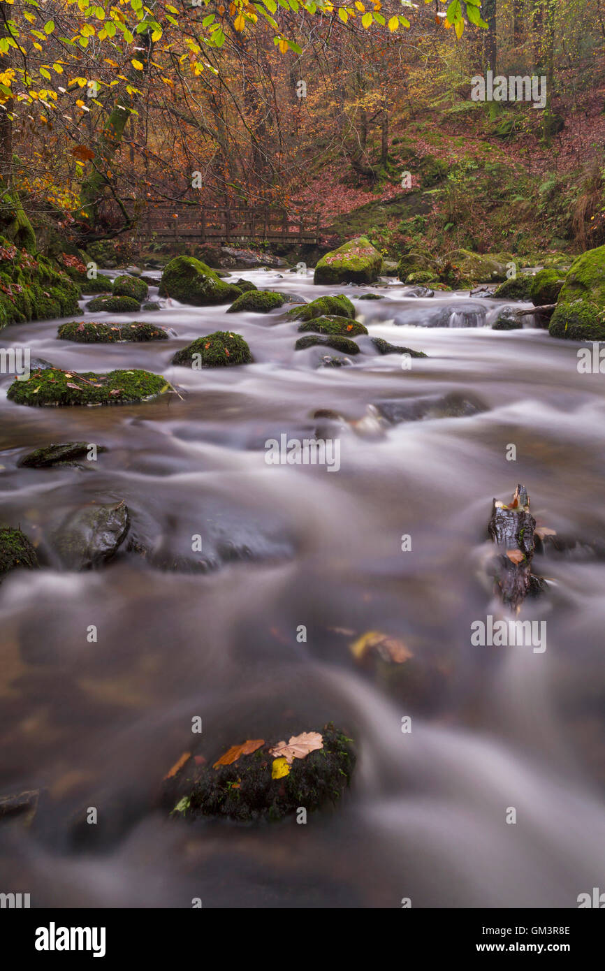 Stock Ghyll Force Stock Photo - Alamy