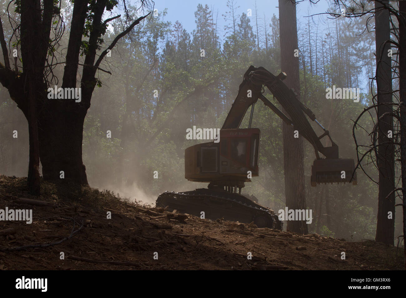 Excavator clearing ground after recent forest fire. California. USA ...