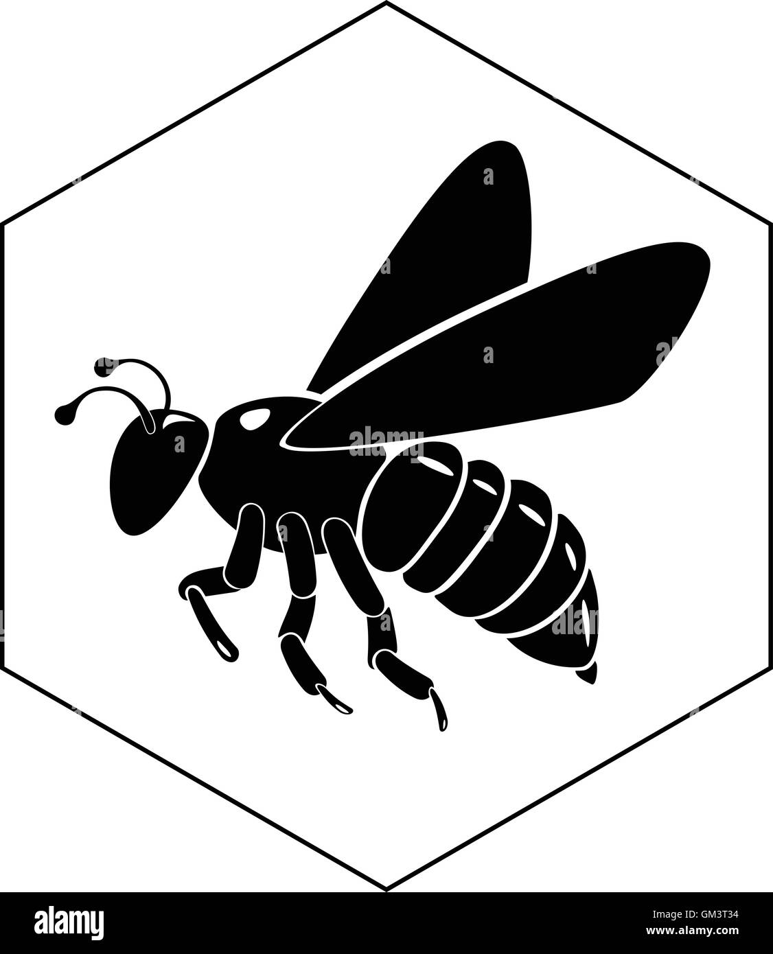 Bee and color Black and White Stock Photos & Images - Alamy