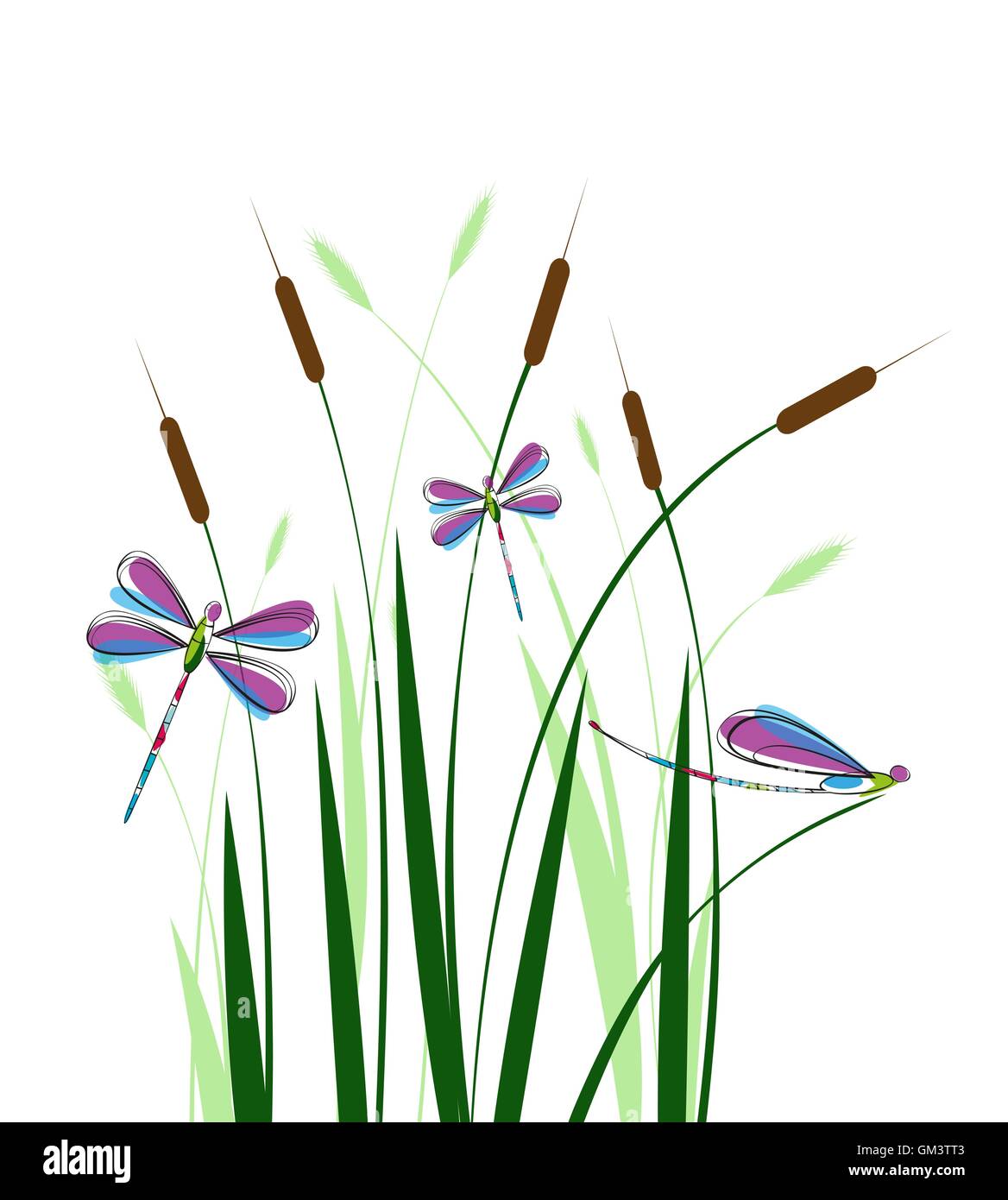 Asian dragonfly Stock Vector Images - Alamy