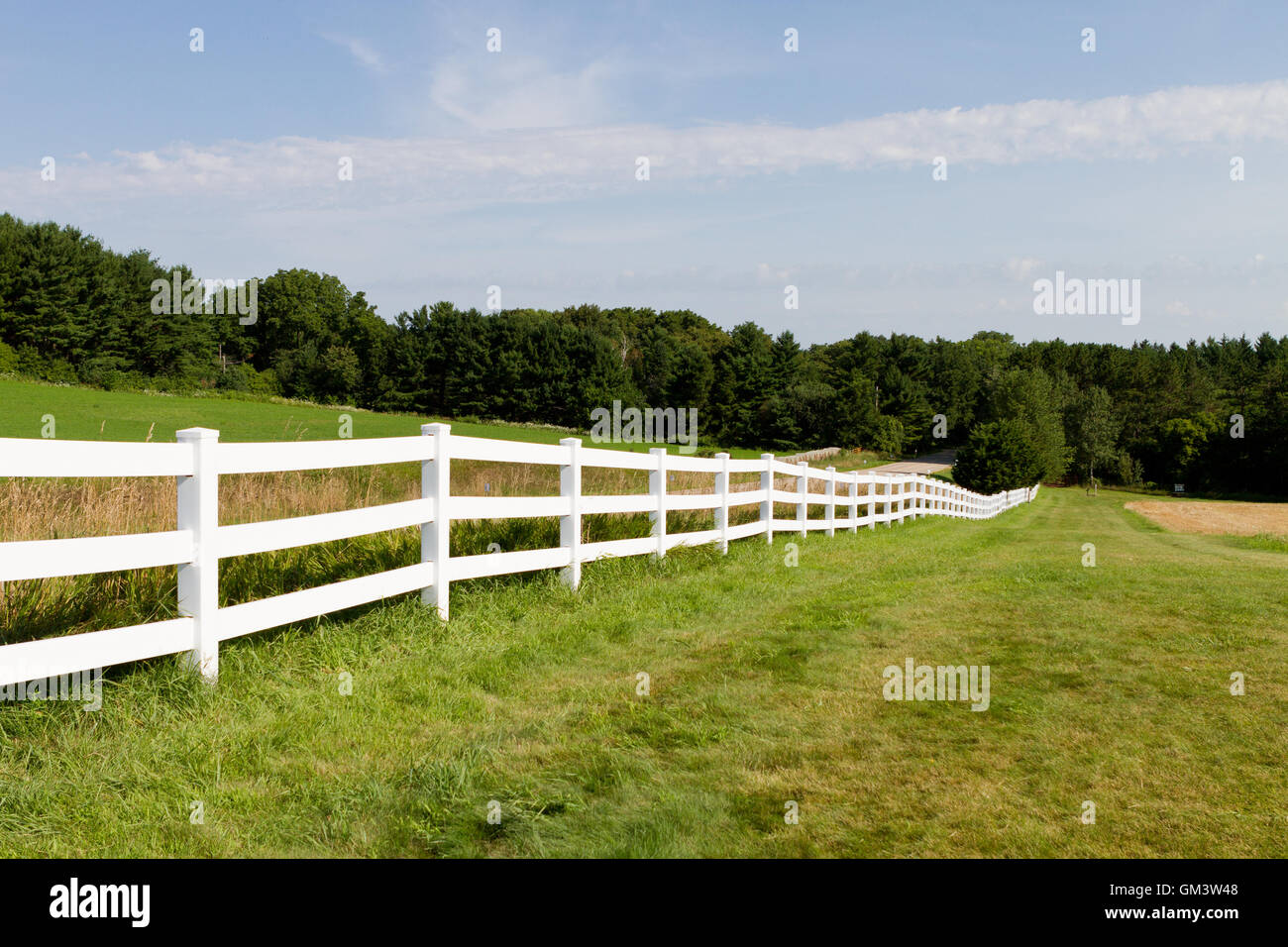 Trees line fence hi-res stock photography and images - Alamy
