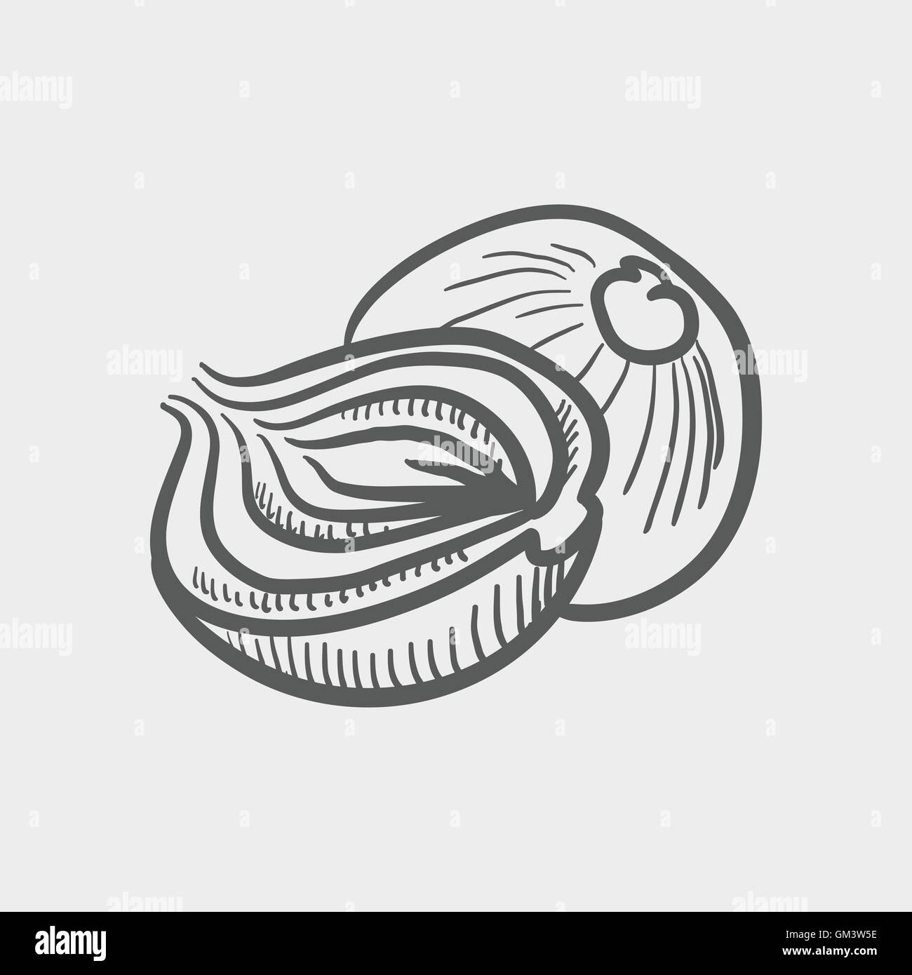 Fresh onion pile Stock Vector Images - Alamy