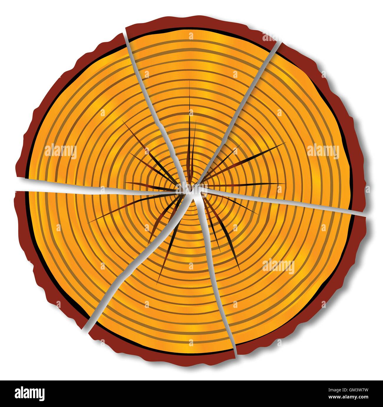 Split wood grain Stock Vector Images - Alamy