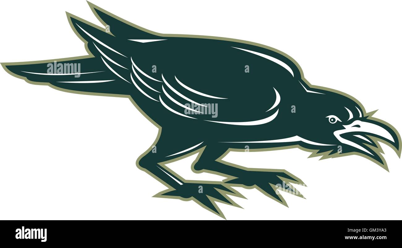 Angry Crow Side Isolated Retro Stock Vector Image & Art - Alamy
