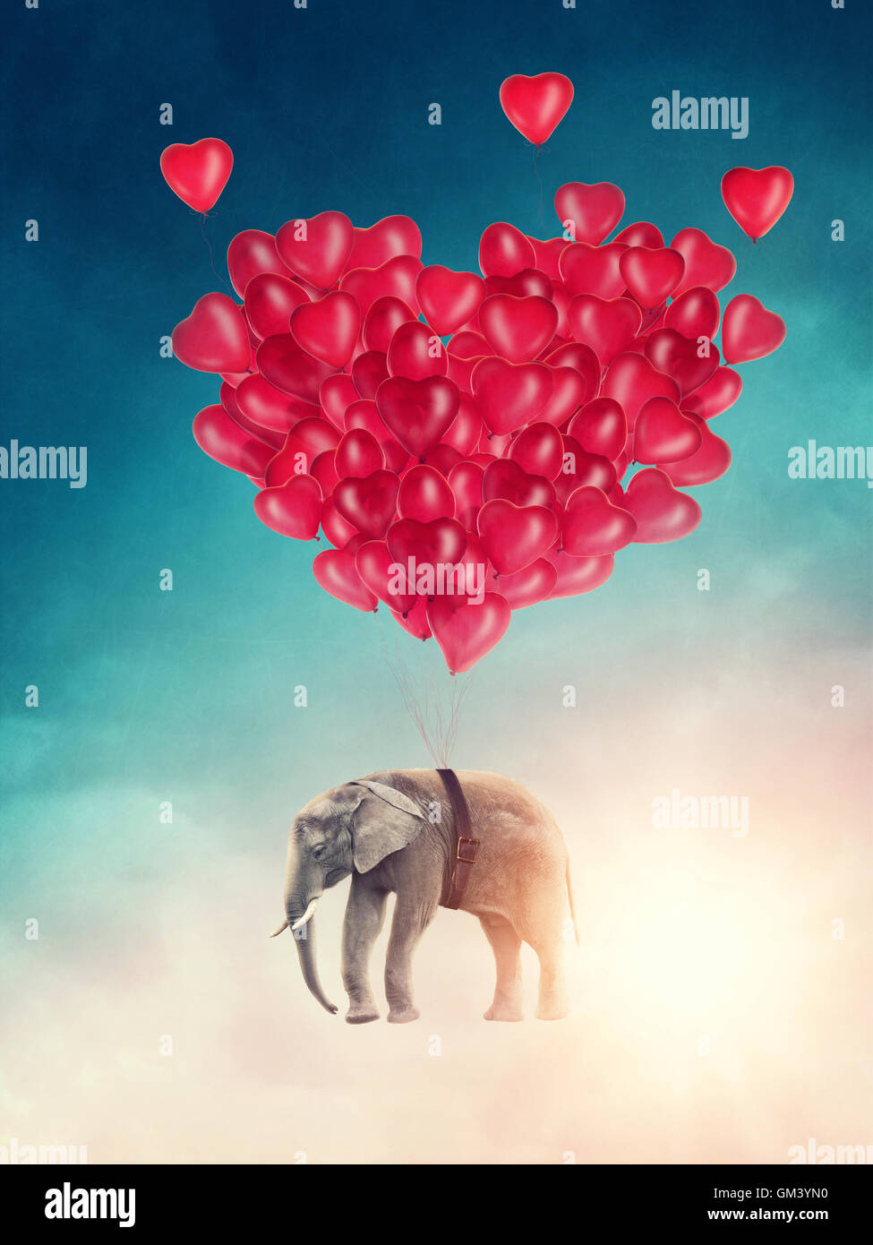 Elephants Making A Heart