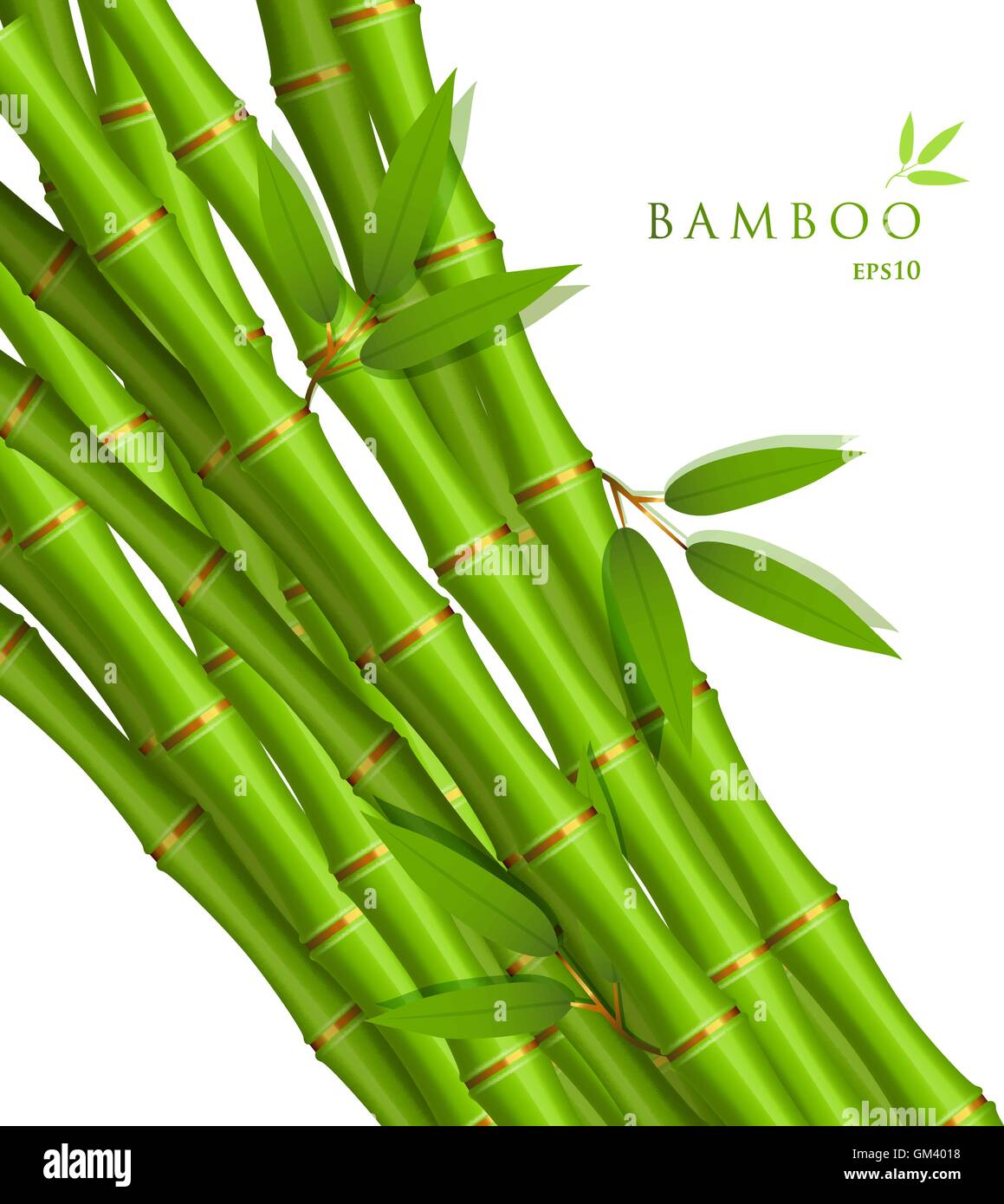 Bamboo Tree Drawing
