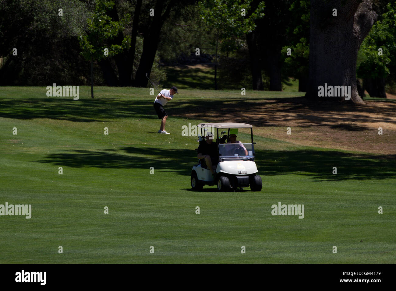 Golf buggy hi-res stock photography and images - Alamy