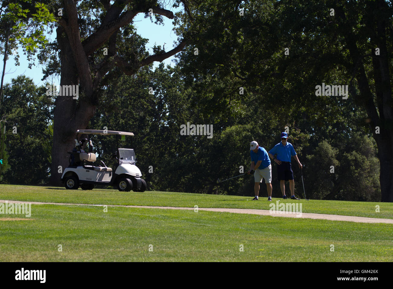 Golfers and buggy on golf course. California. USA Stock Photo - Alamy