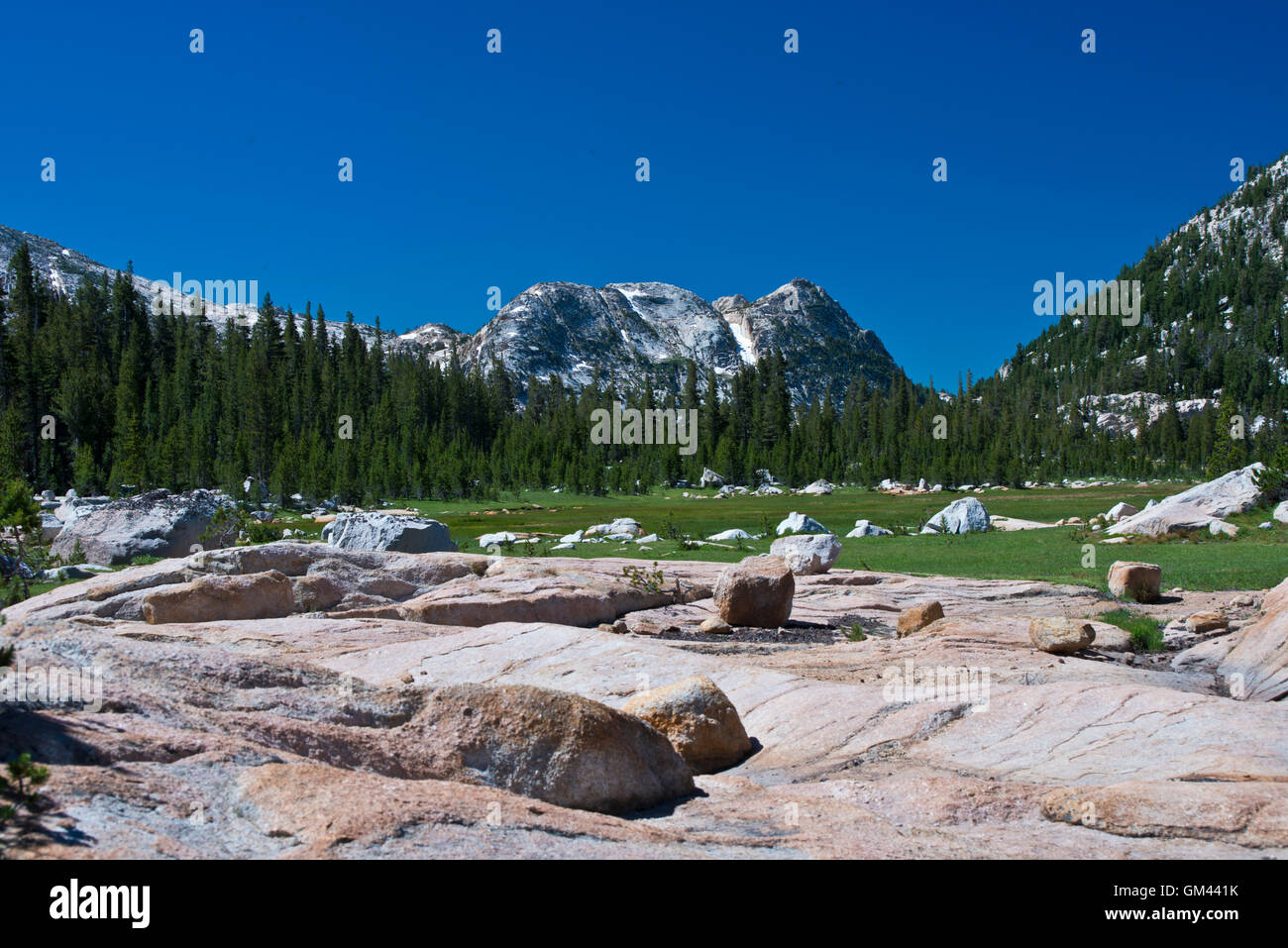Rock face in the Kerrick Meadows on the Benson Lake Loop trail Stock ...