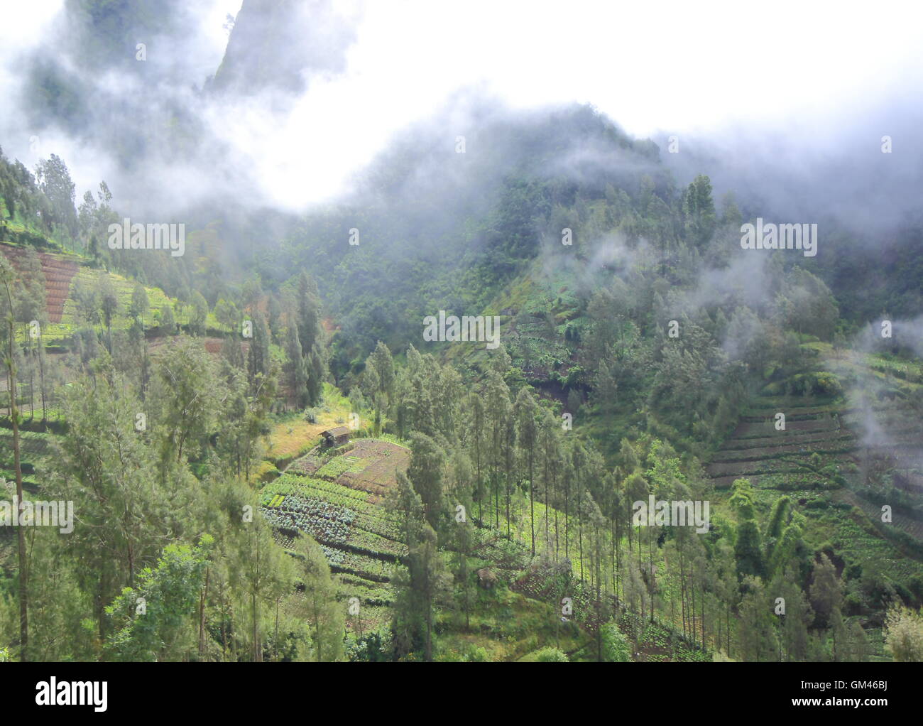Cemoro lawang village hi-res stock photography and images - Alamy