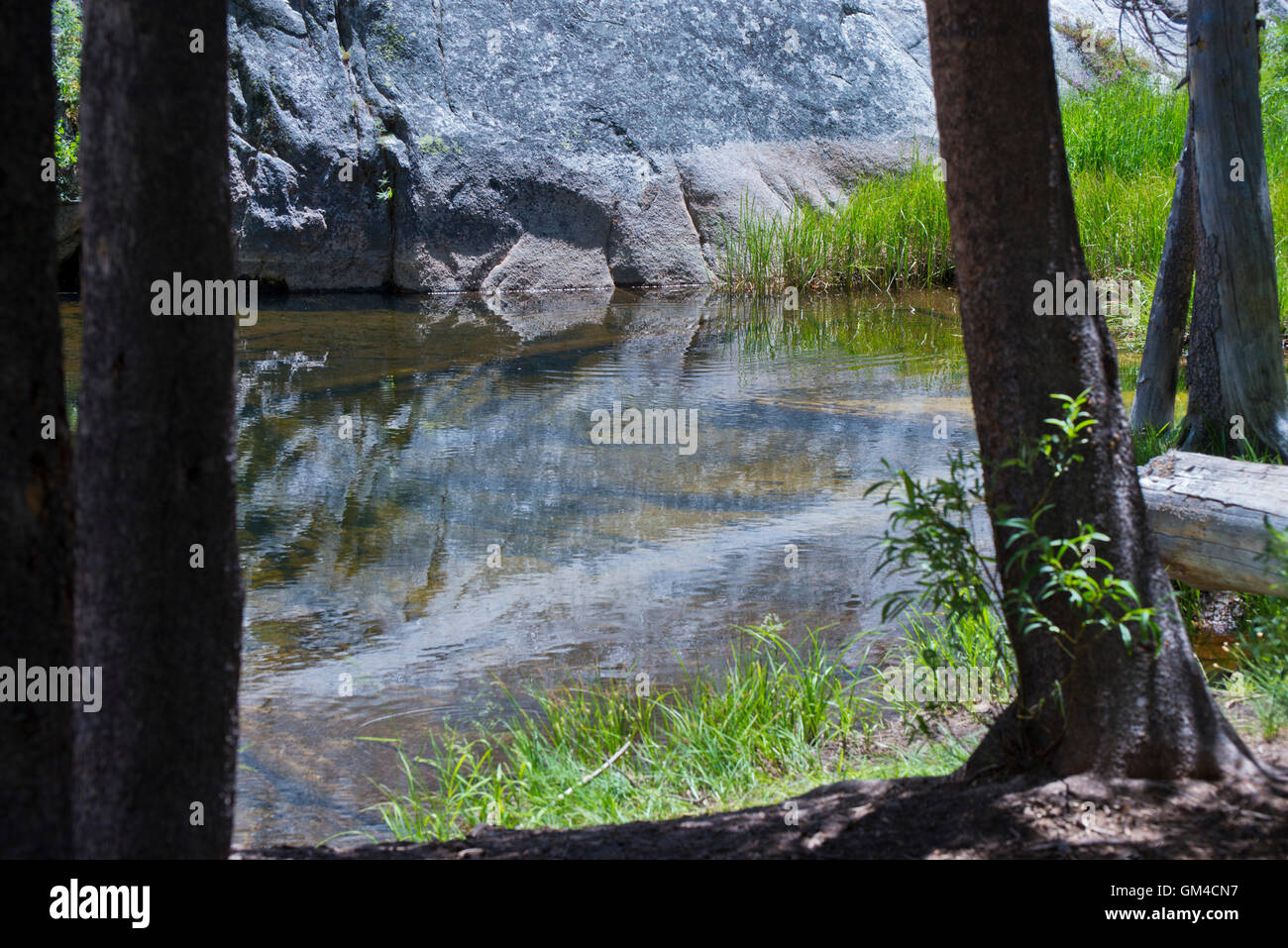 Reflections in alpine pool on the Benson Lake Loop trail Stock Photo ...