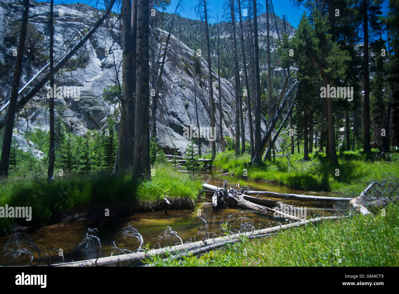 Alpine brook on Benson Lake Loop trail near Barney Lake Stock Photo - Alamy
