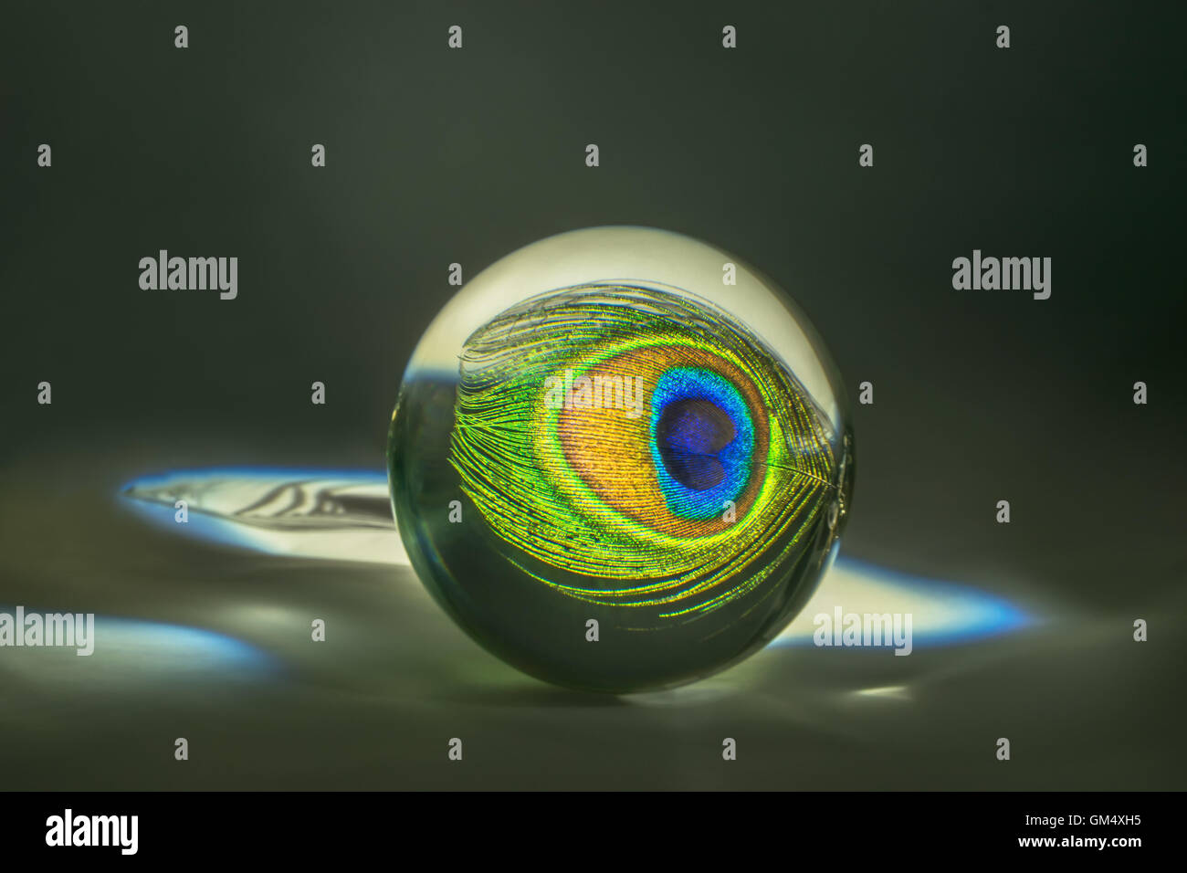 peacock feather refracts in a glowing glass sphere Stock Photo - Alamy