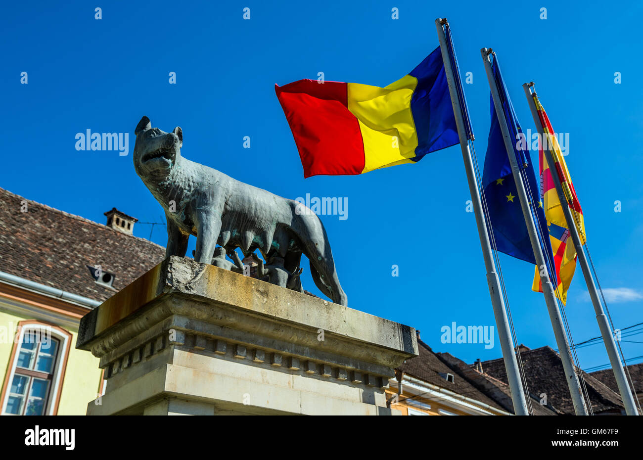 Capitoline Wolf statue with Romulus and Remus twins in Sighisoara city ...