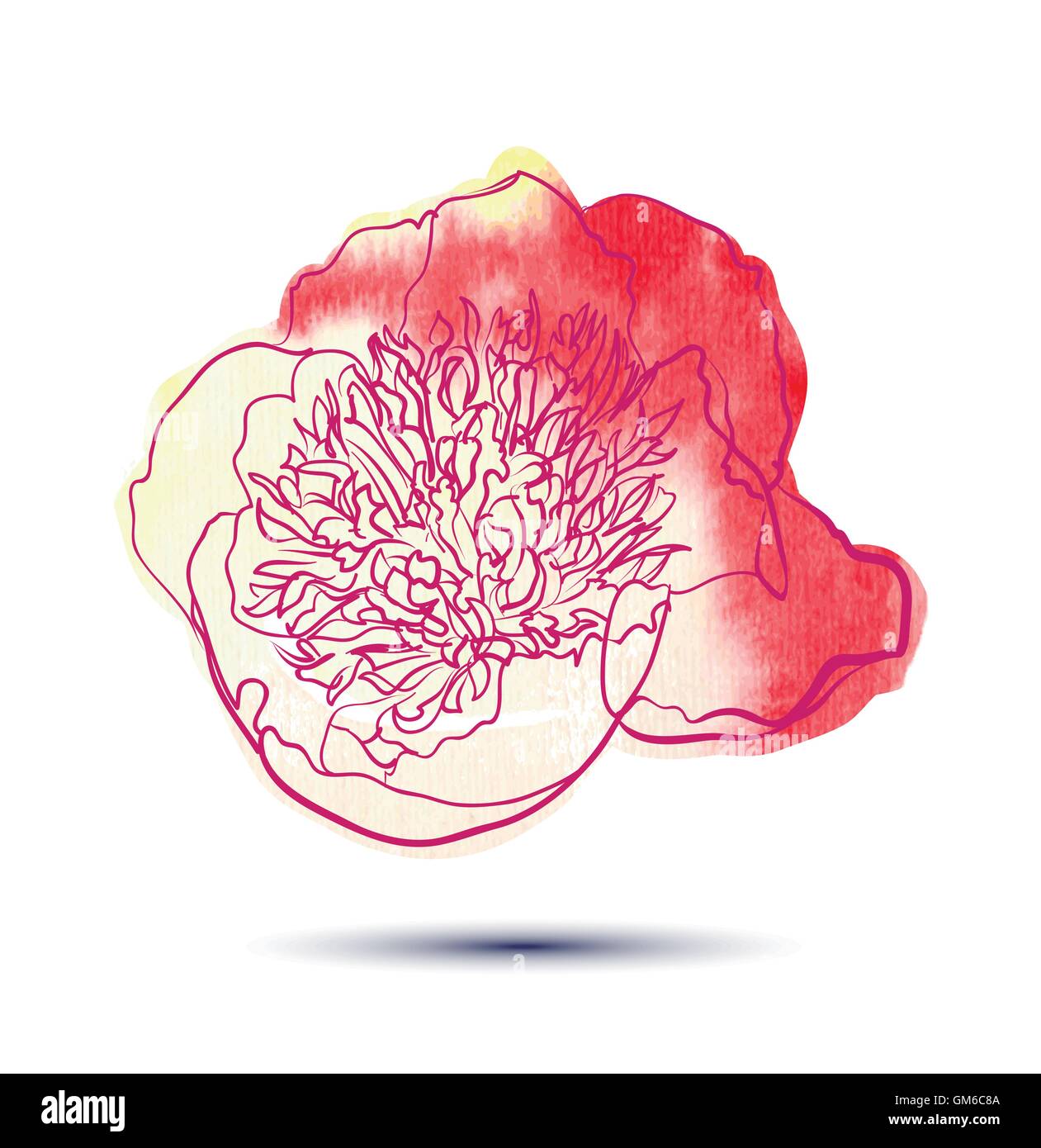 Stylized peony Cut Out Stock Images & Pictures - Alamy