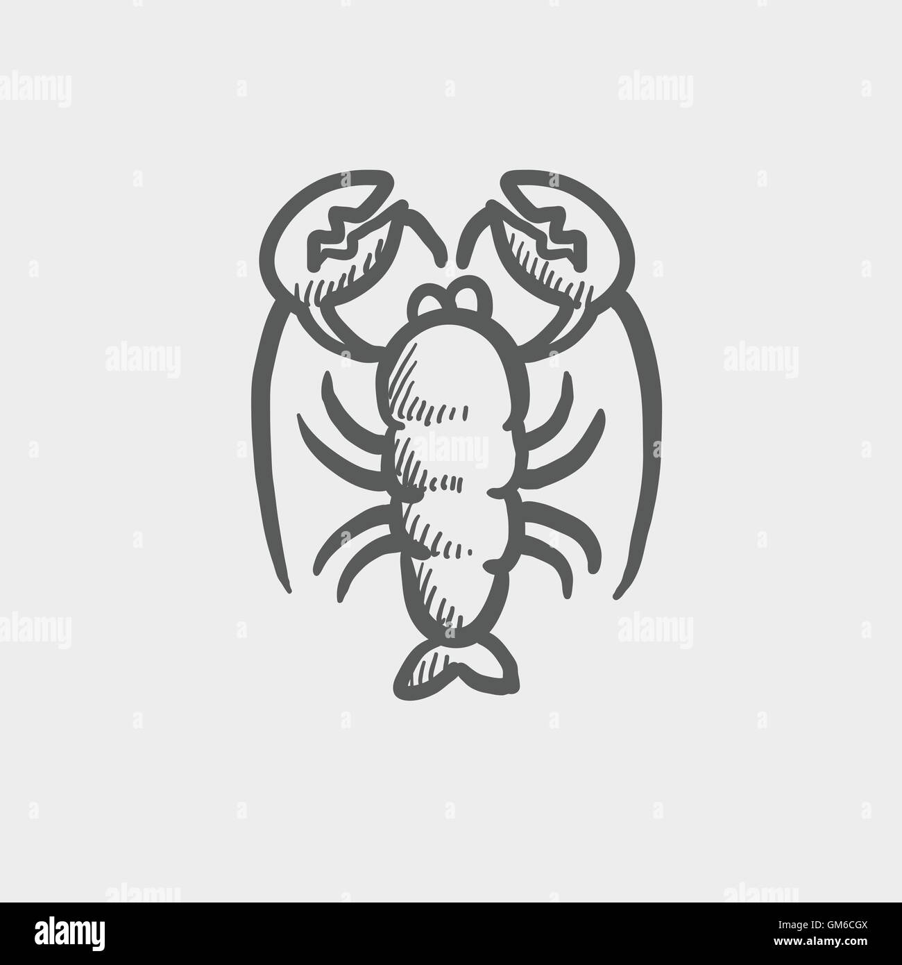 Lobster sketch icon Stock Vector Image & Art - Alamy