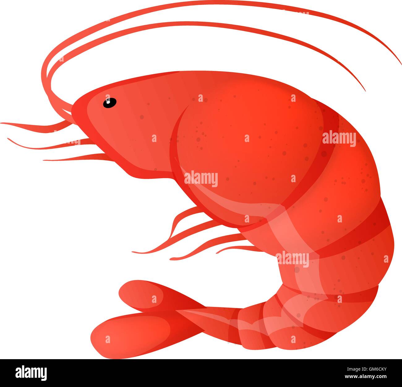Red shrimp Stock Vector Images - Alamy