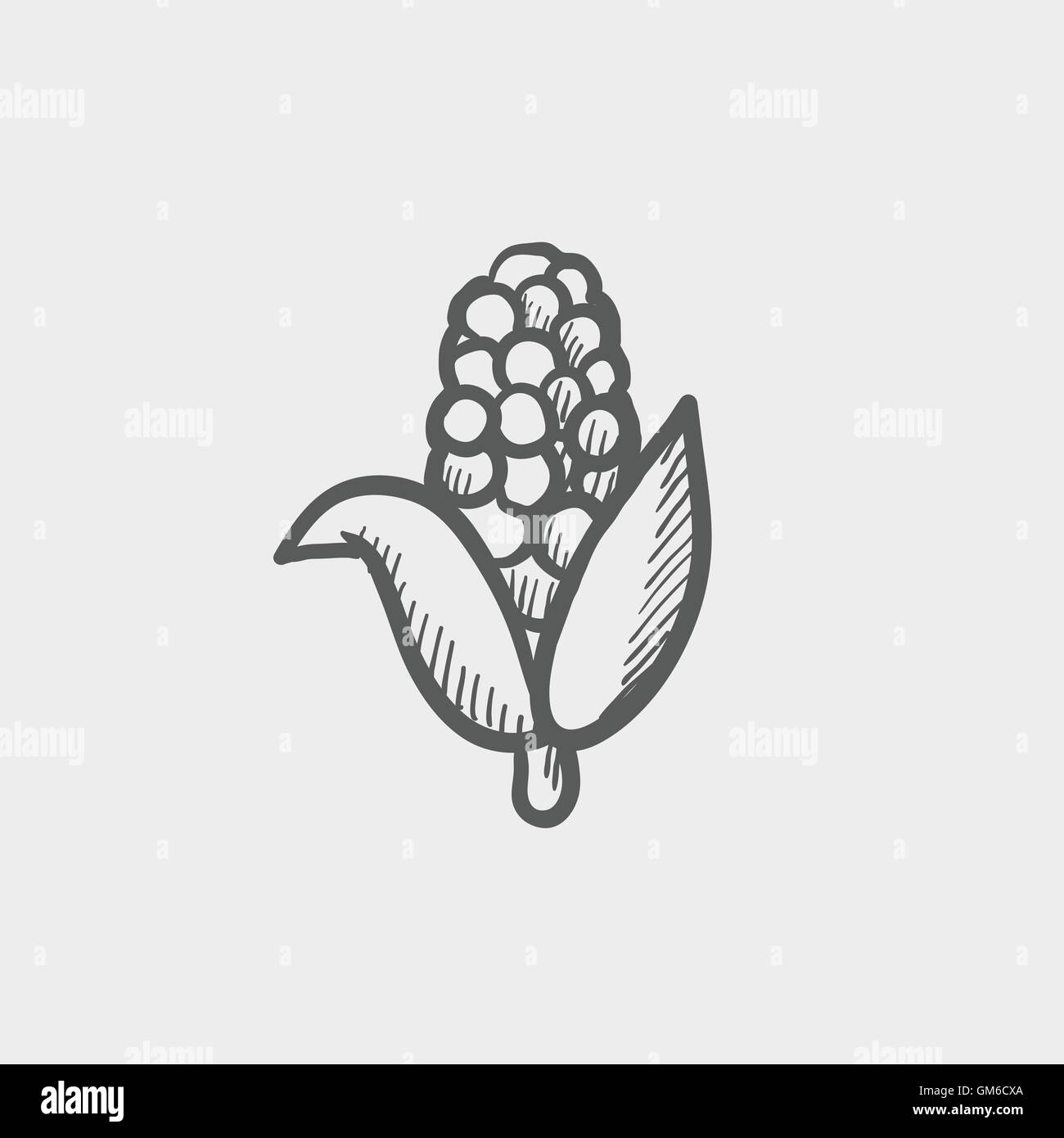 Corn drawing hi-res stock photography and images - Alamy