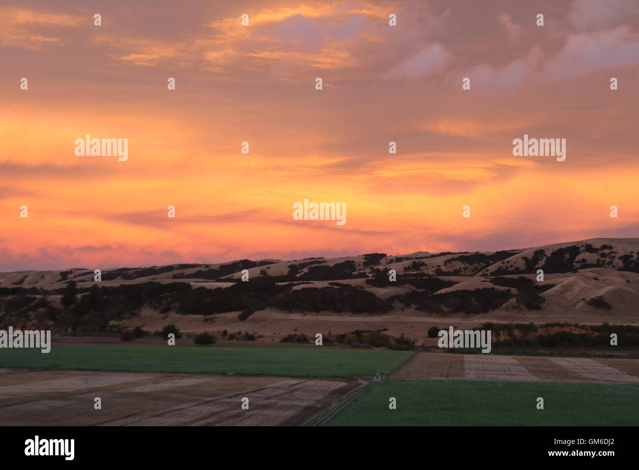 Sunset at Te Muna valley at Escarpment Vineyard, Martinborough, New ...