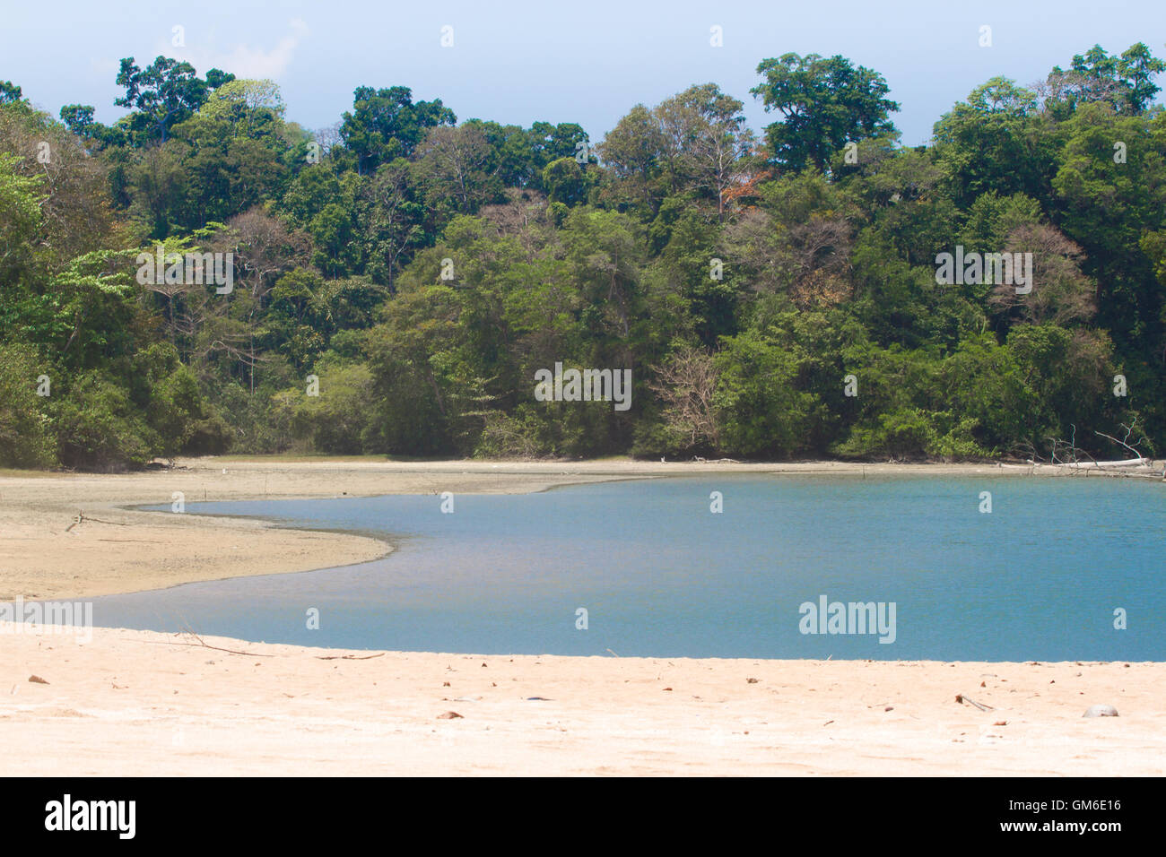 Beach line Indian ocean. Sand, tree, forest. Clean lagoon Stock Photo ...