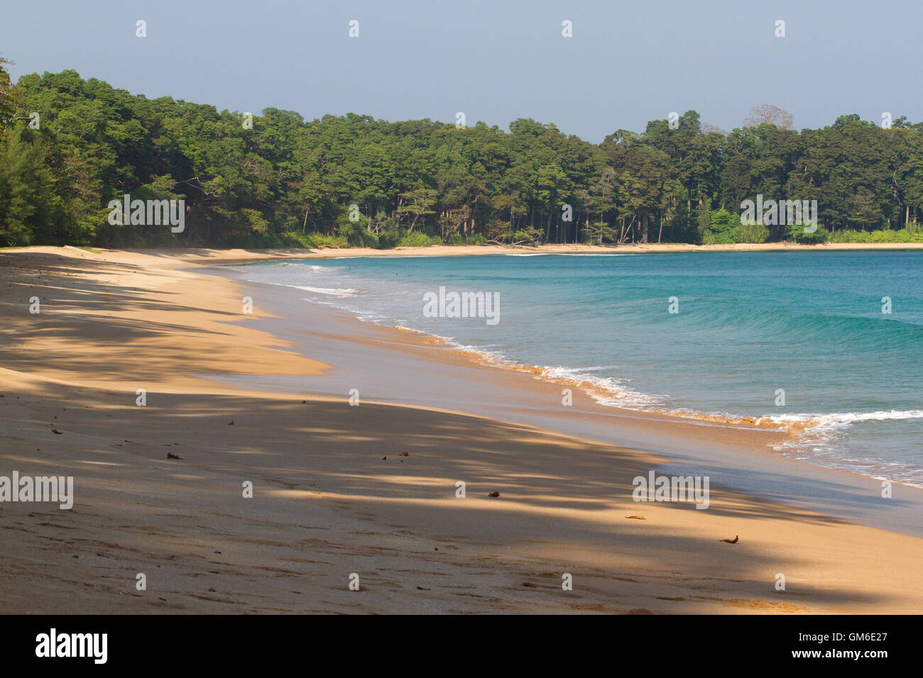 Beach line Indian ocean. Sand, tree, forest. Clean lagoon Stock Photo ...
