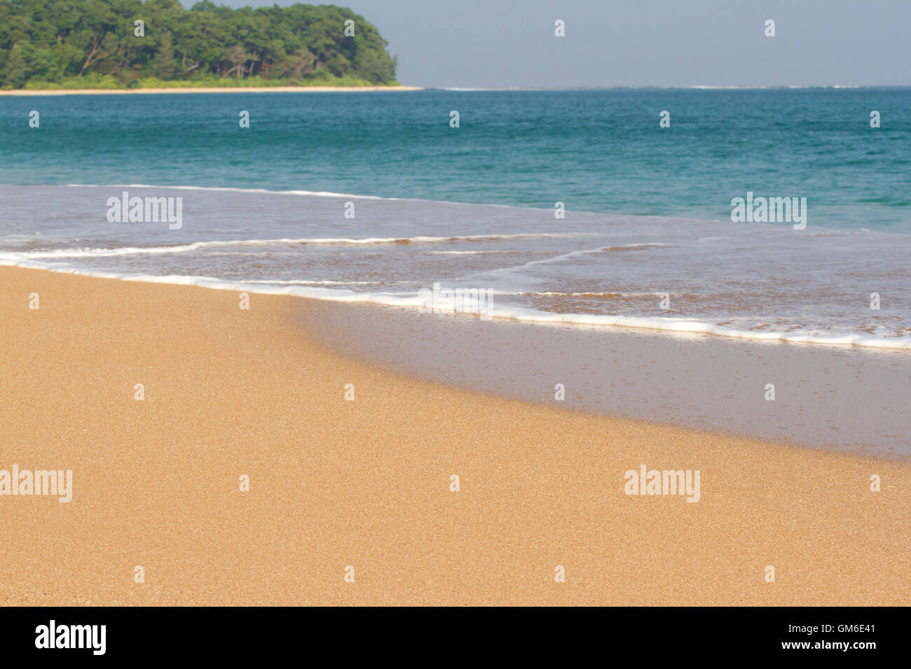 Beach line Indian ocean. Sand, tree, forest. Clean lagoon Stock Photo ...