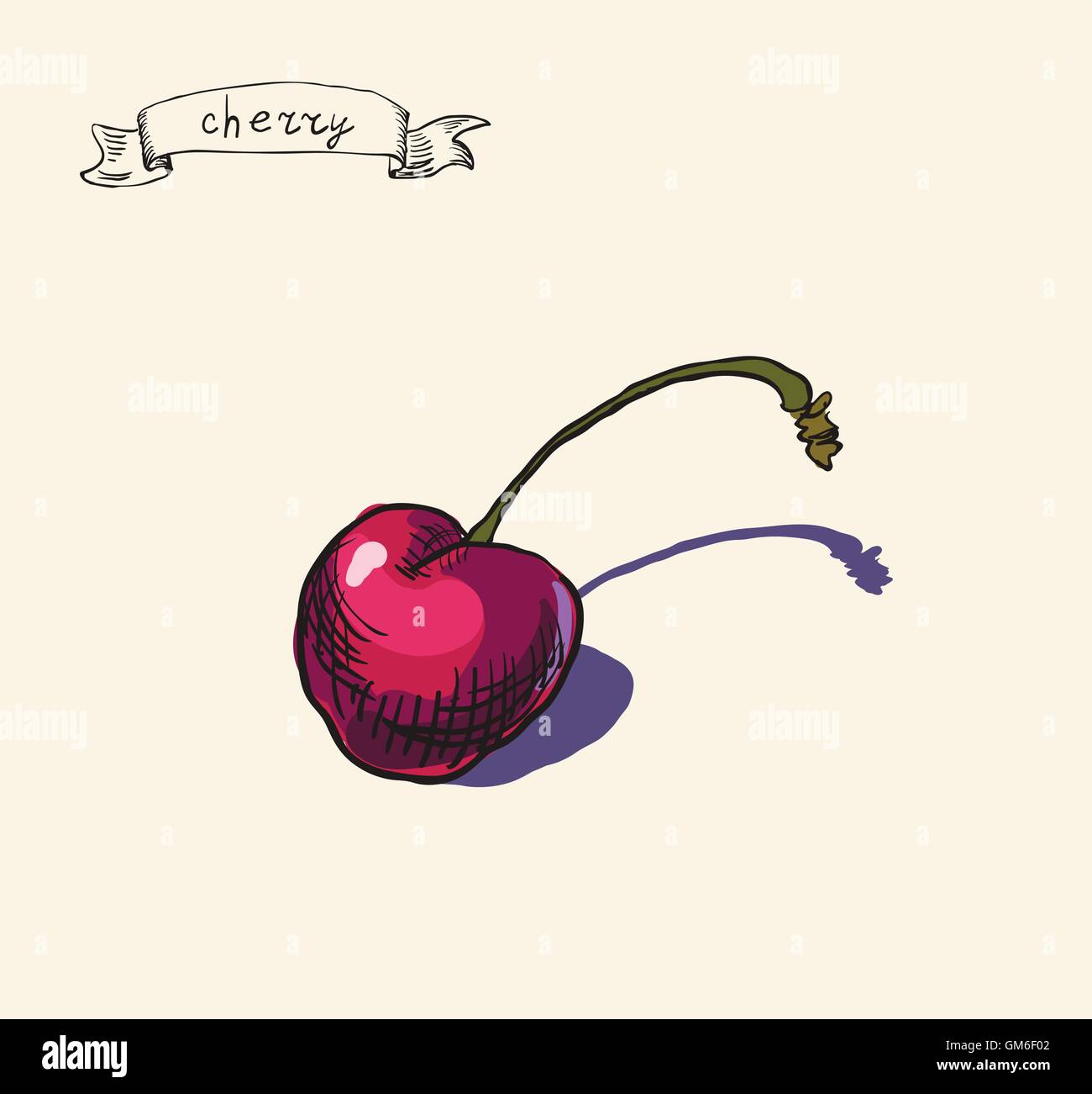 hand drawn vintage illustration of cherry Stock Vector Image & Art - Alamy
