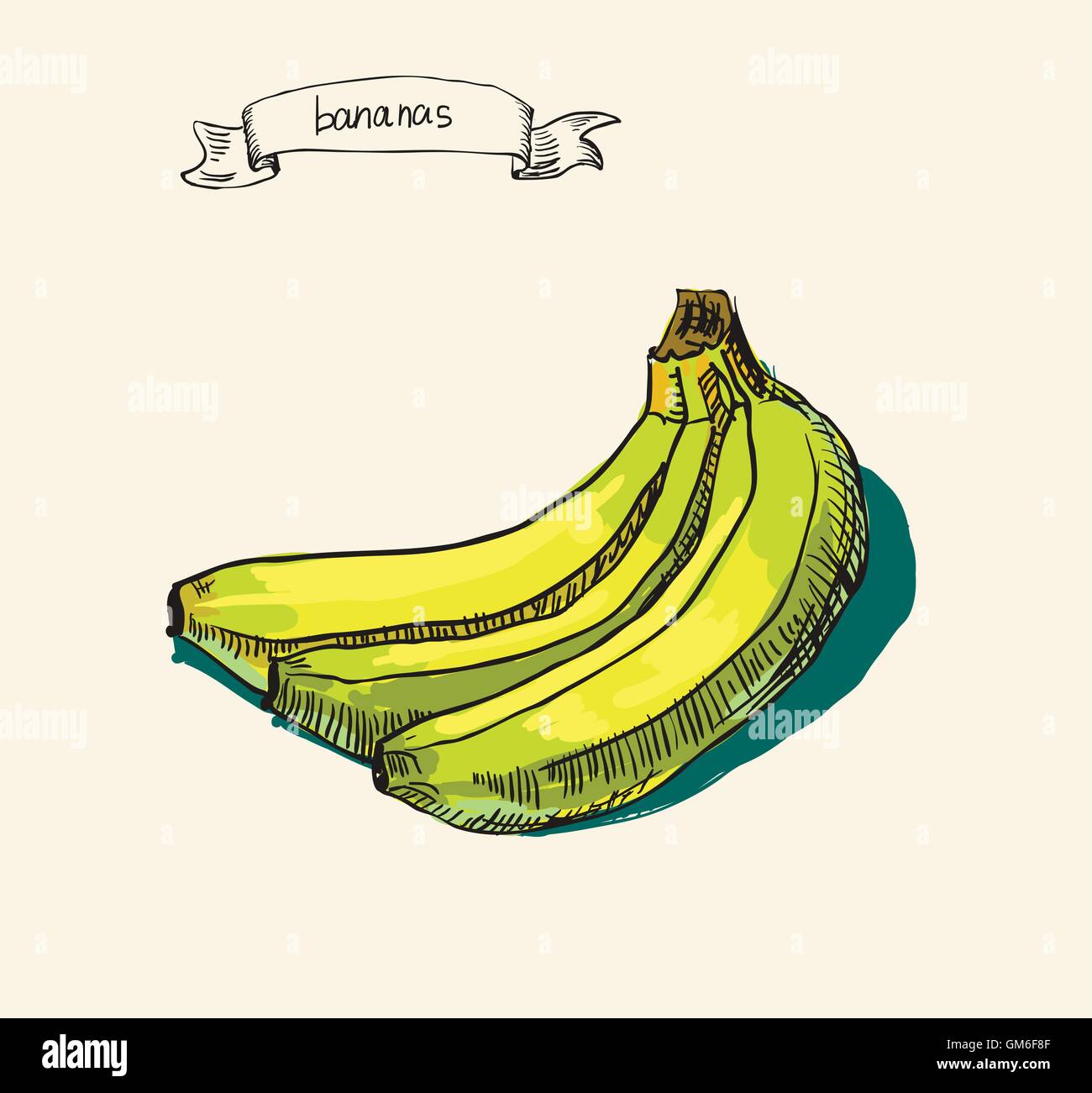 hand drawn vintage illustration of banana Stock Vector Image & Art - Alamy