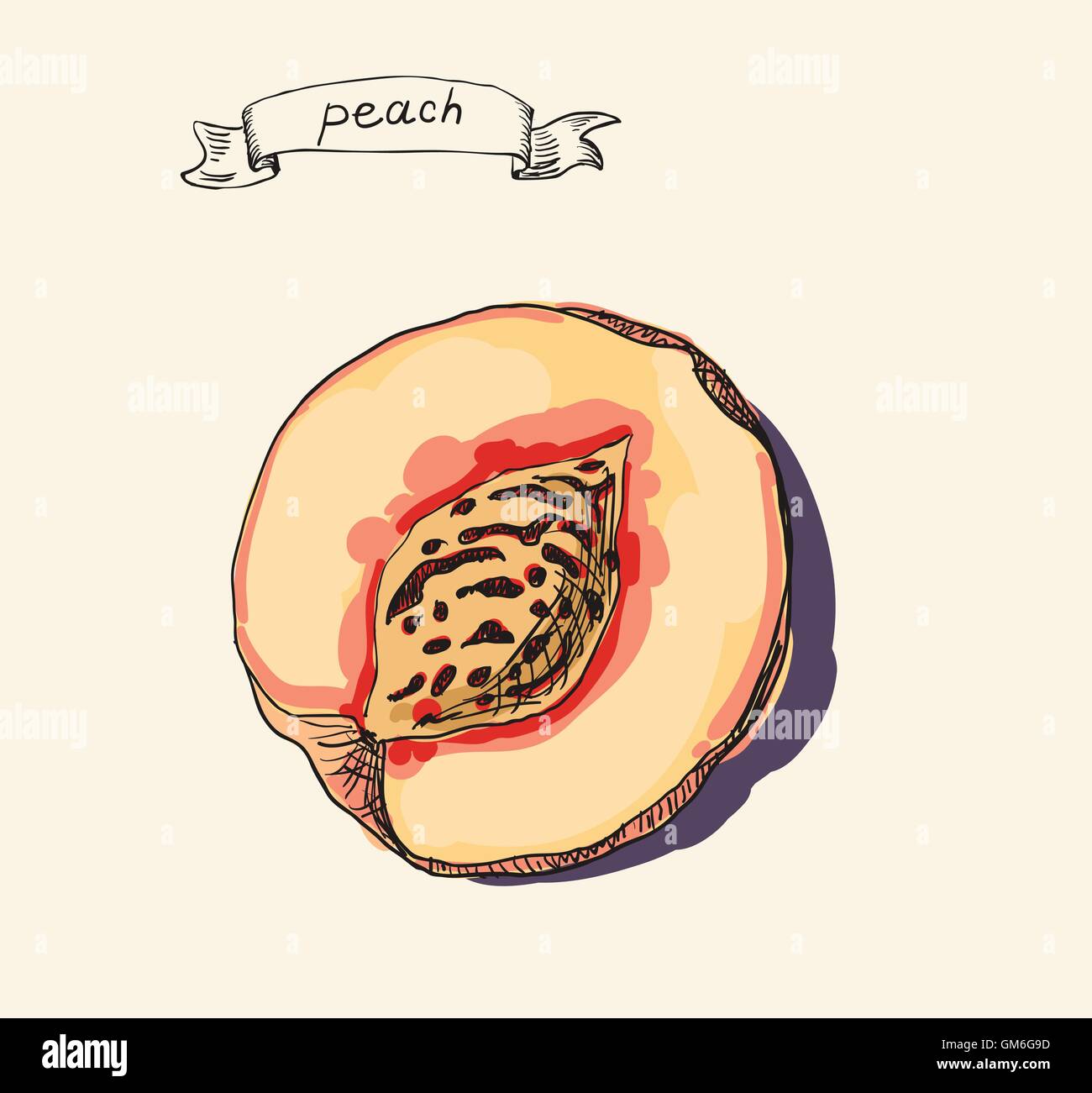 Peach vector illustration Stock Vector Image & Art - Alamy