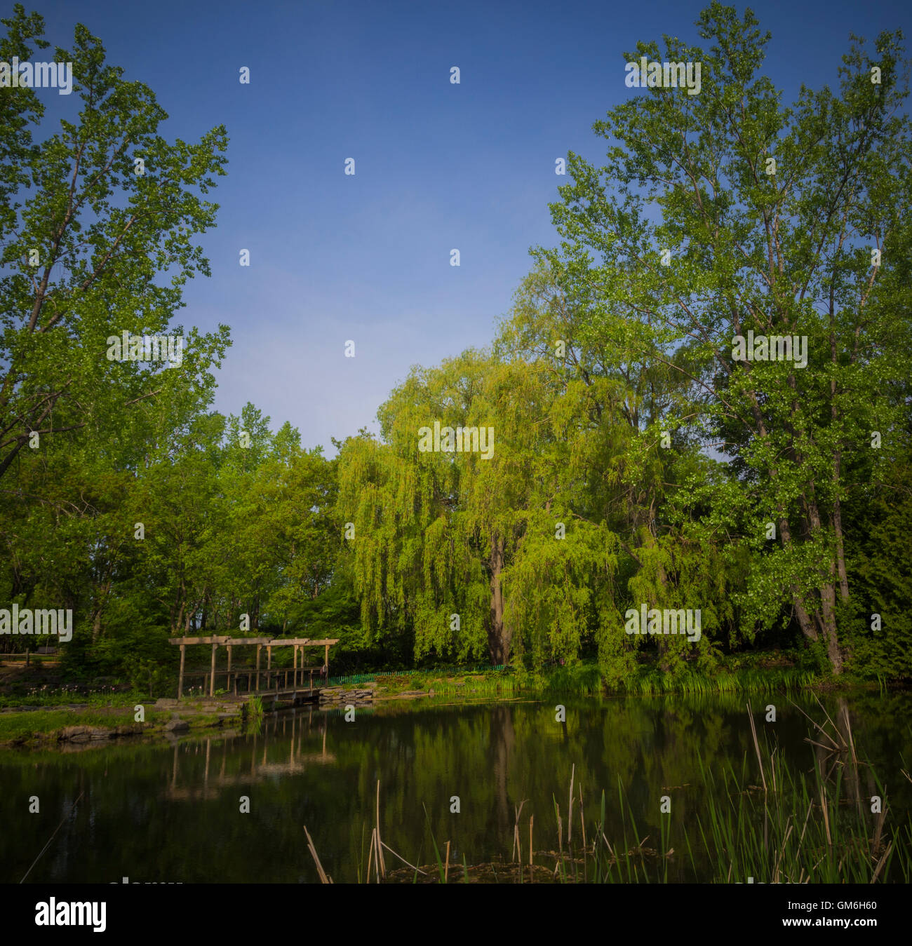 Centre de la nature, Laval Stock Photo - Alamy