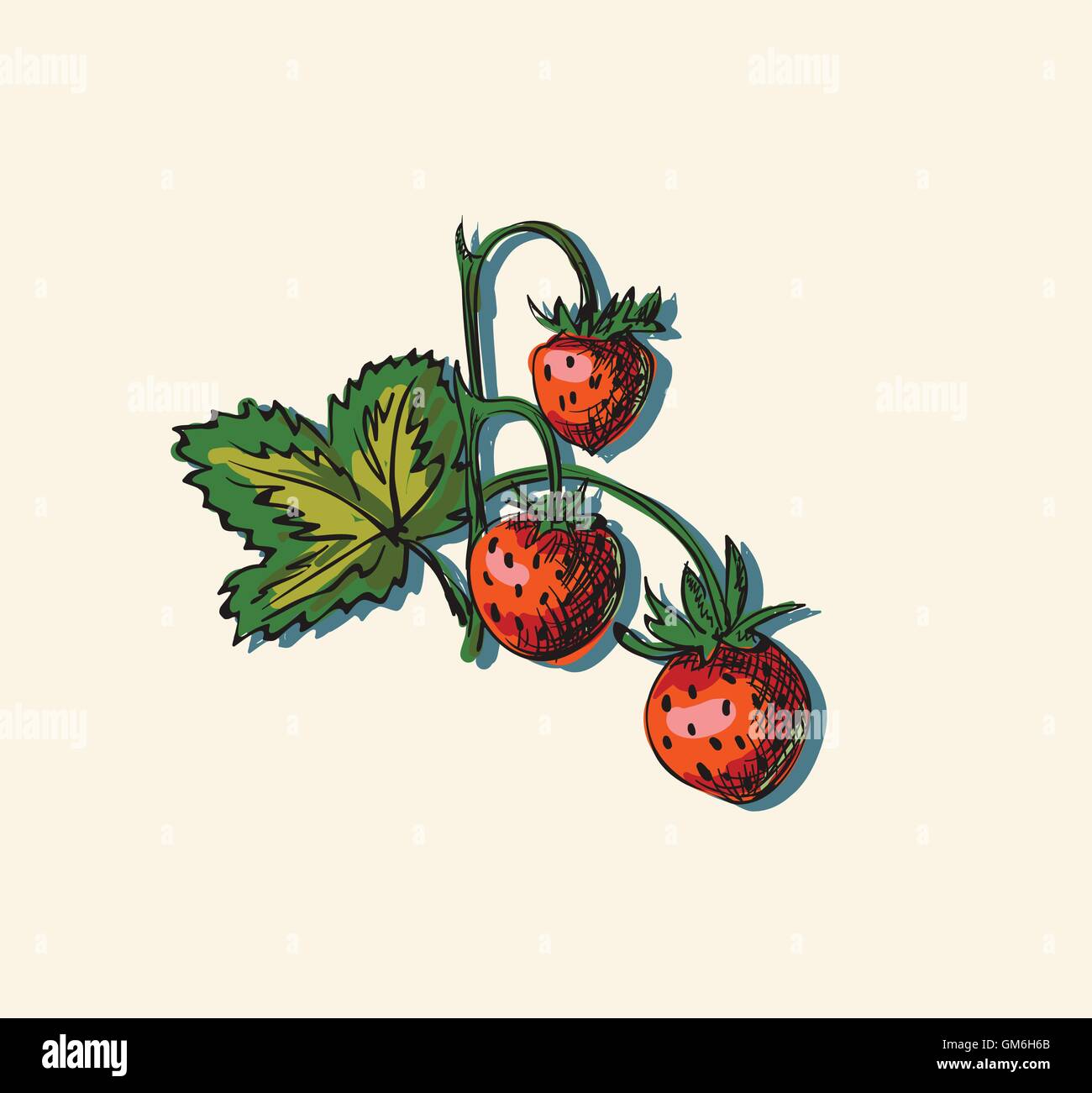Vector illustration drawing of strawberry Stock Vector Image & Art - Alamy