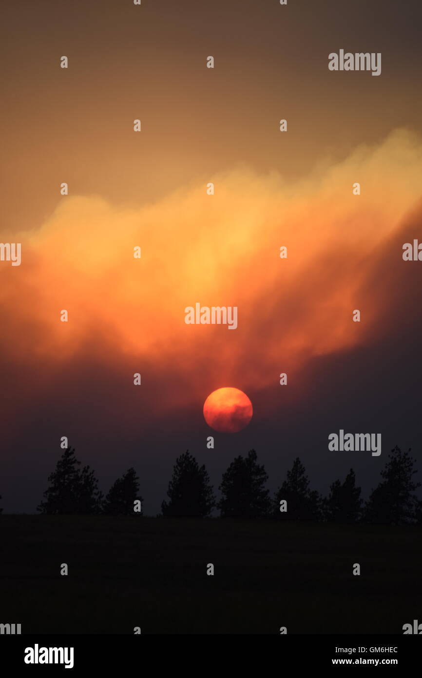 Wildfire hi-res stock photography and images - Alamy