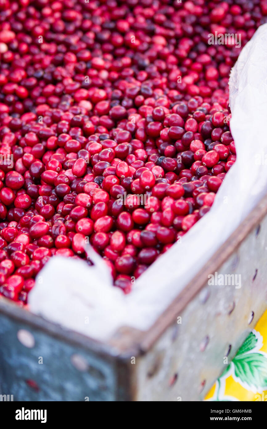 Fresh cranberries at the fall farmers market Stock Photo - Alamy