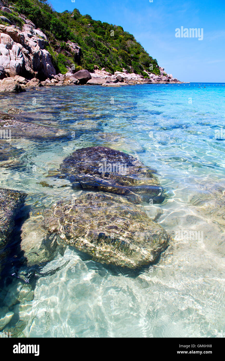 kho tao bay isle white beach rocks in thailand asia and south china sea ...