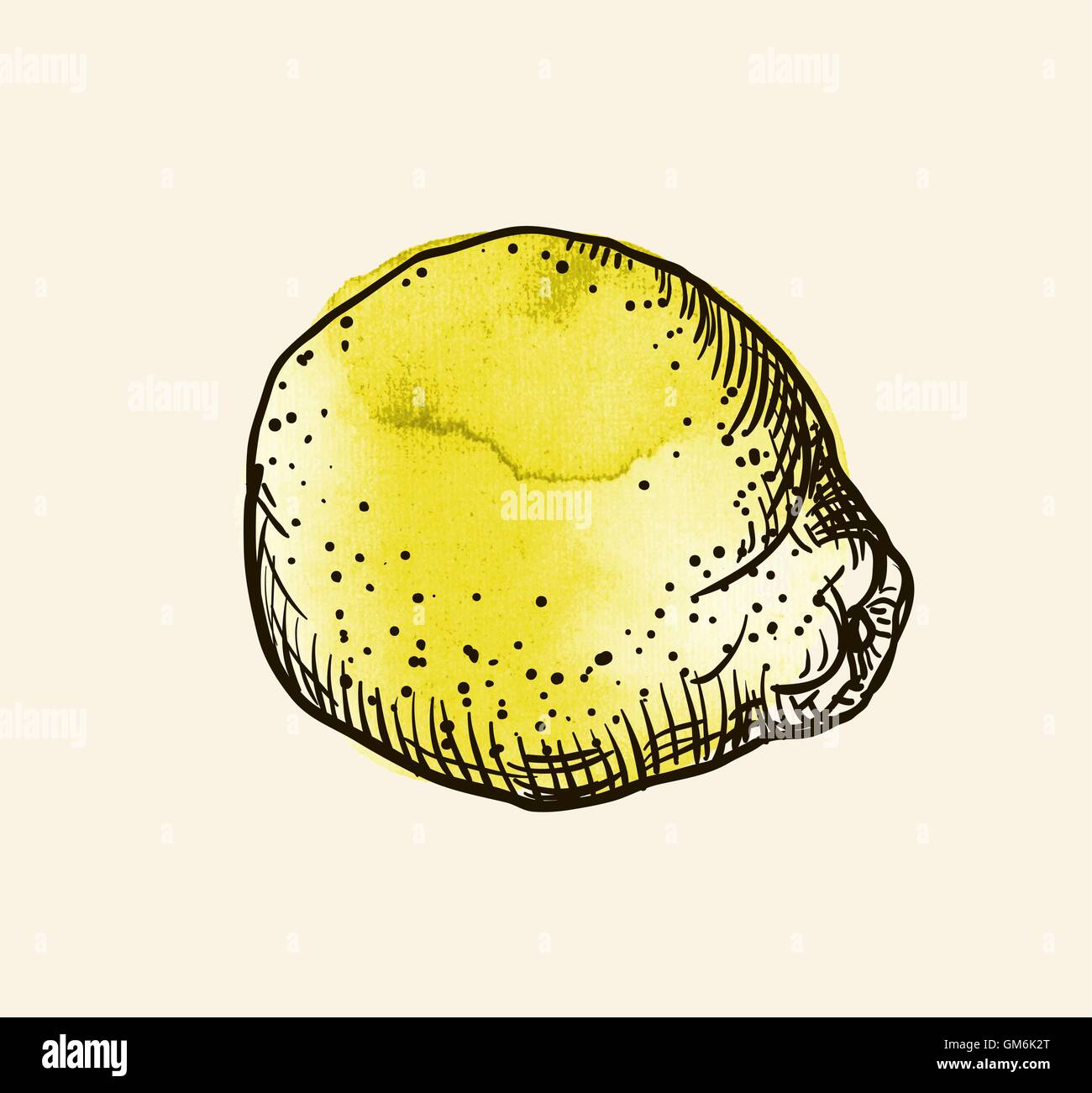 Brush hand drawing vintage Stock Vector Images - Alamy