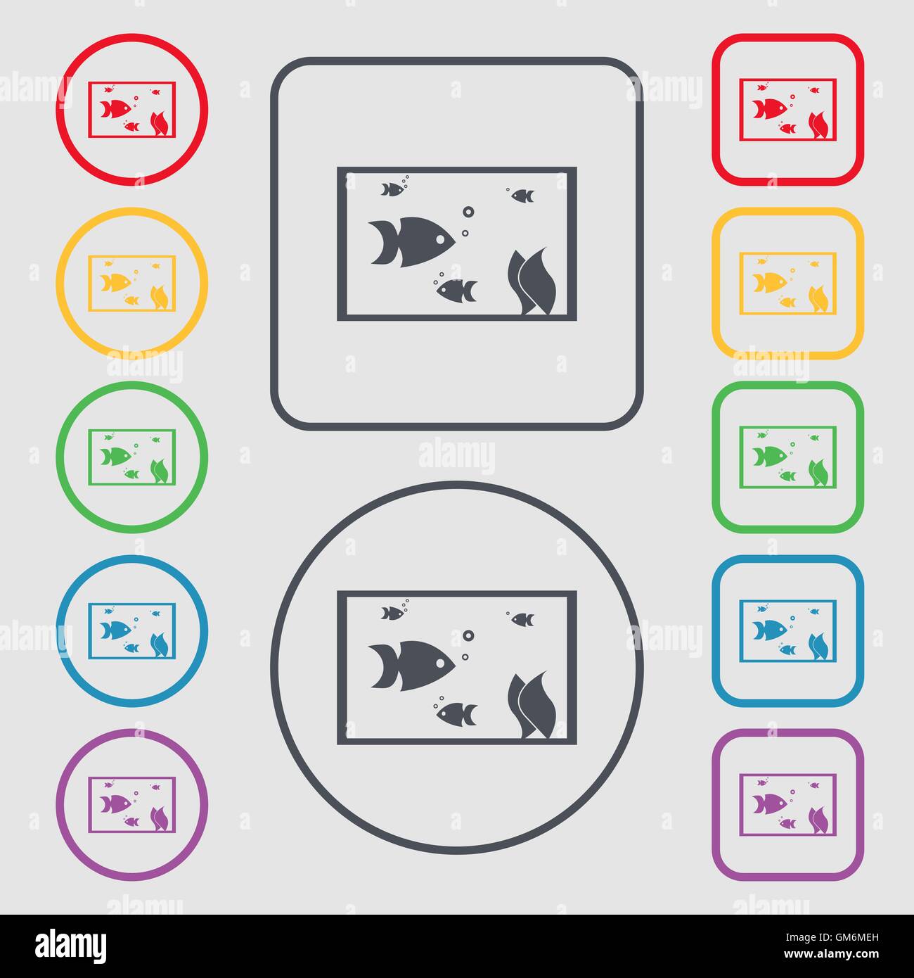 Square flipper seal Stock Vector Images - Alamy