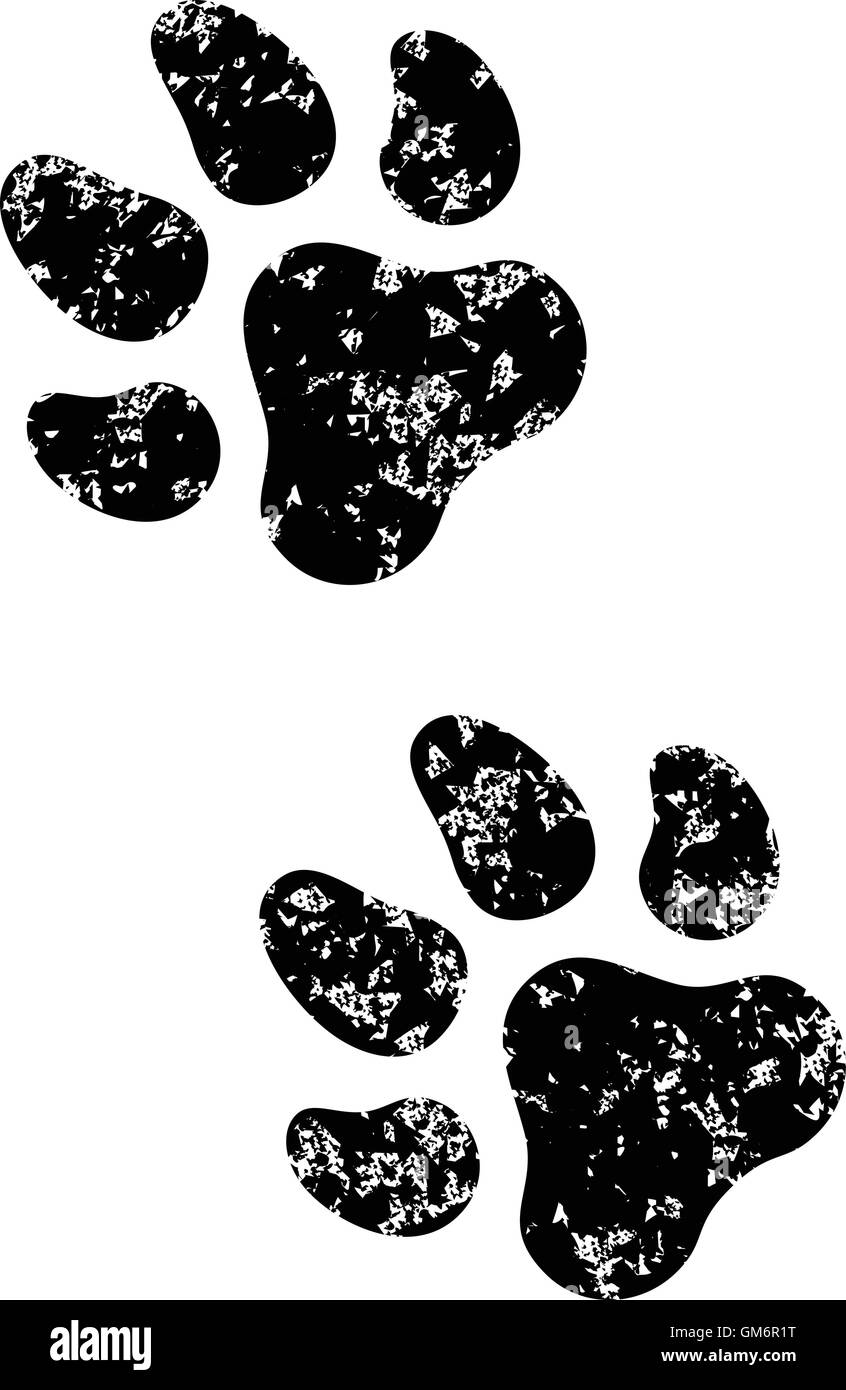 Animal paw print hi-res stock photography and images - Alamy