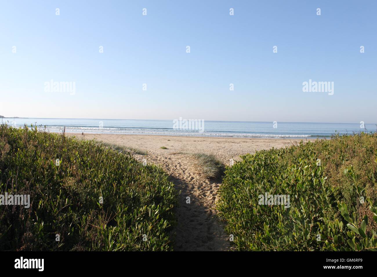 Trail to the ocean Stock Photo - Alamy