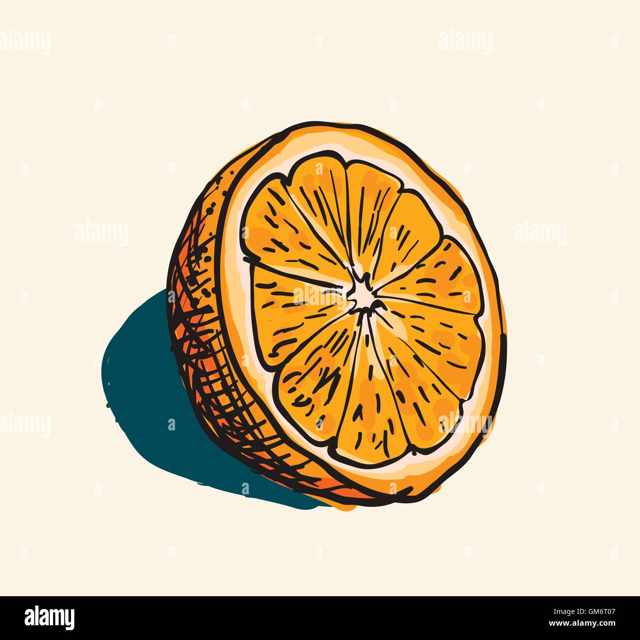 hand drawn vintage illustration of orange Stock Vector Image & Art - Alamy