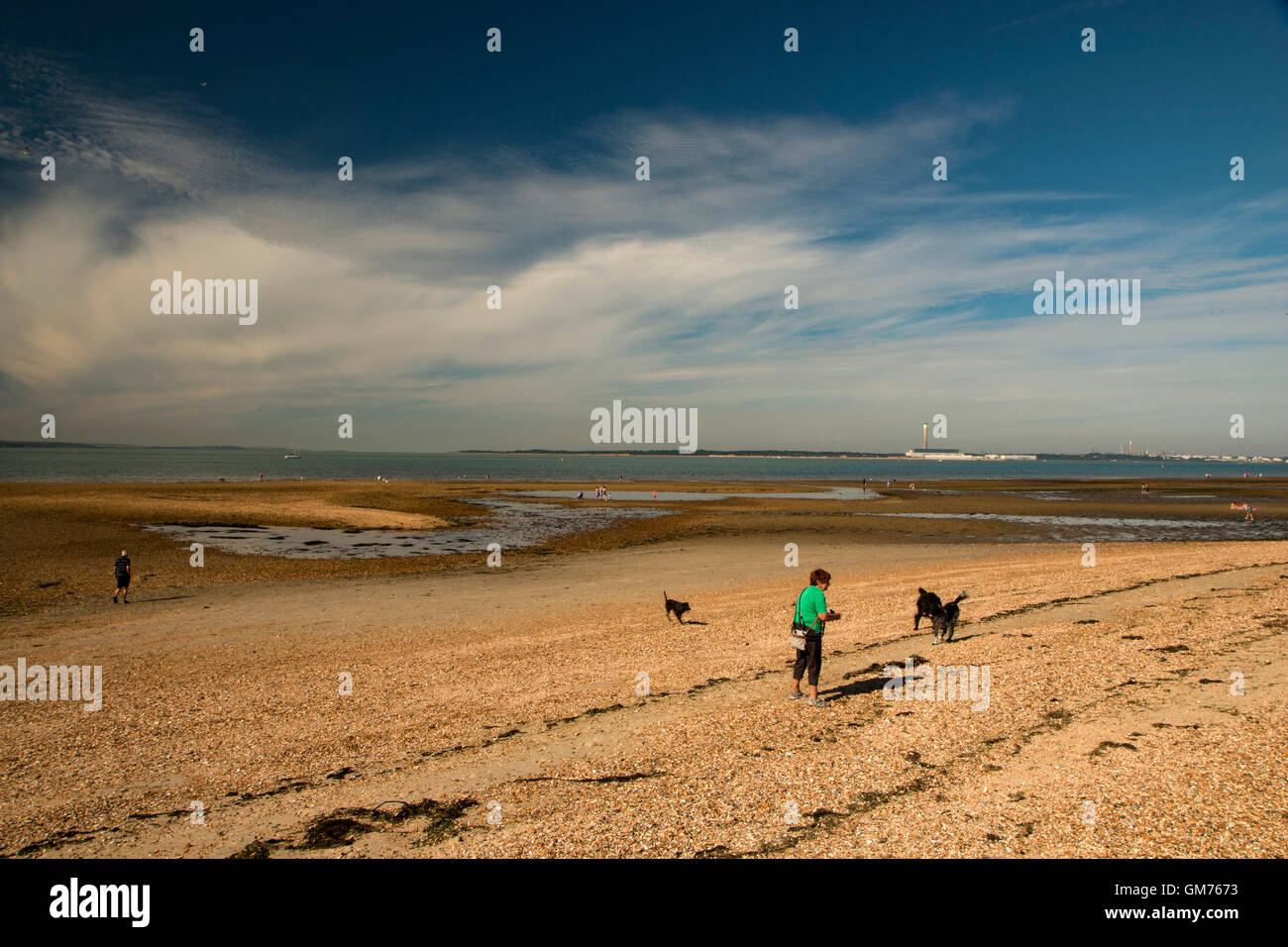 The beach at Meon Shore, Hampshire. The Titchfield Haven National ...
