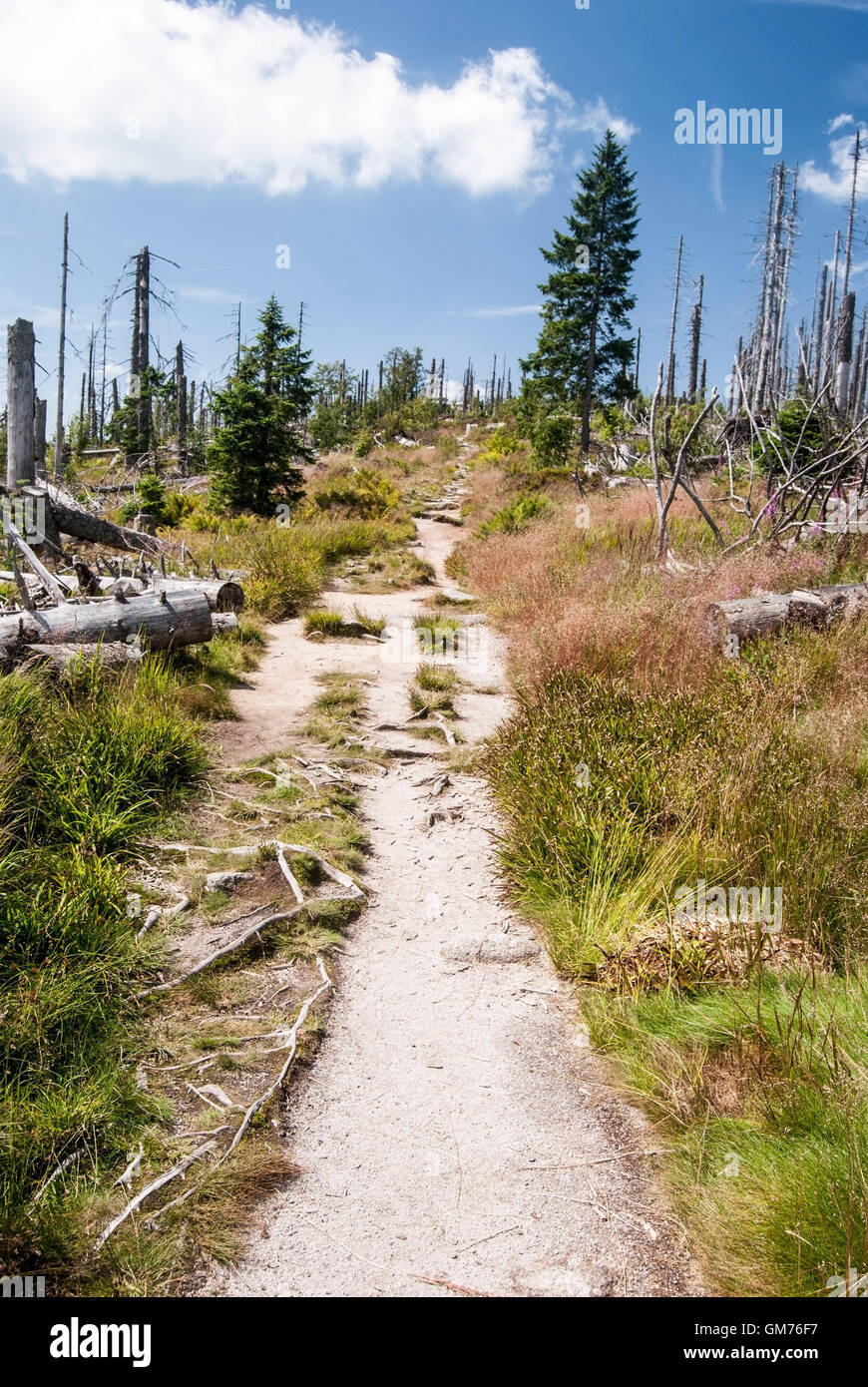 German hiking trail hi-res stock photography and images - Alamy