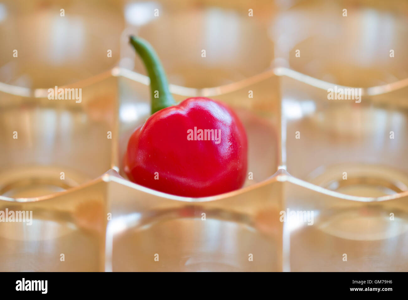 hot round chili pepper typical of the Calabria Stock Photo - Alamy