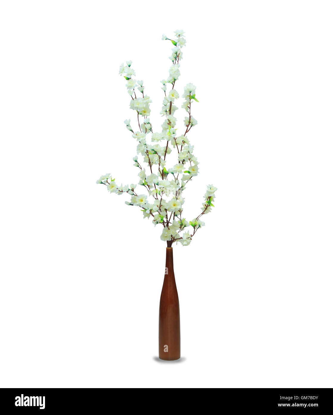 Cherry sakura in japan Cut Out Stock Images & Pictures - Alamy