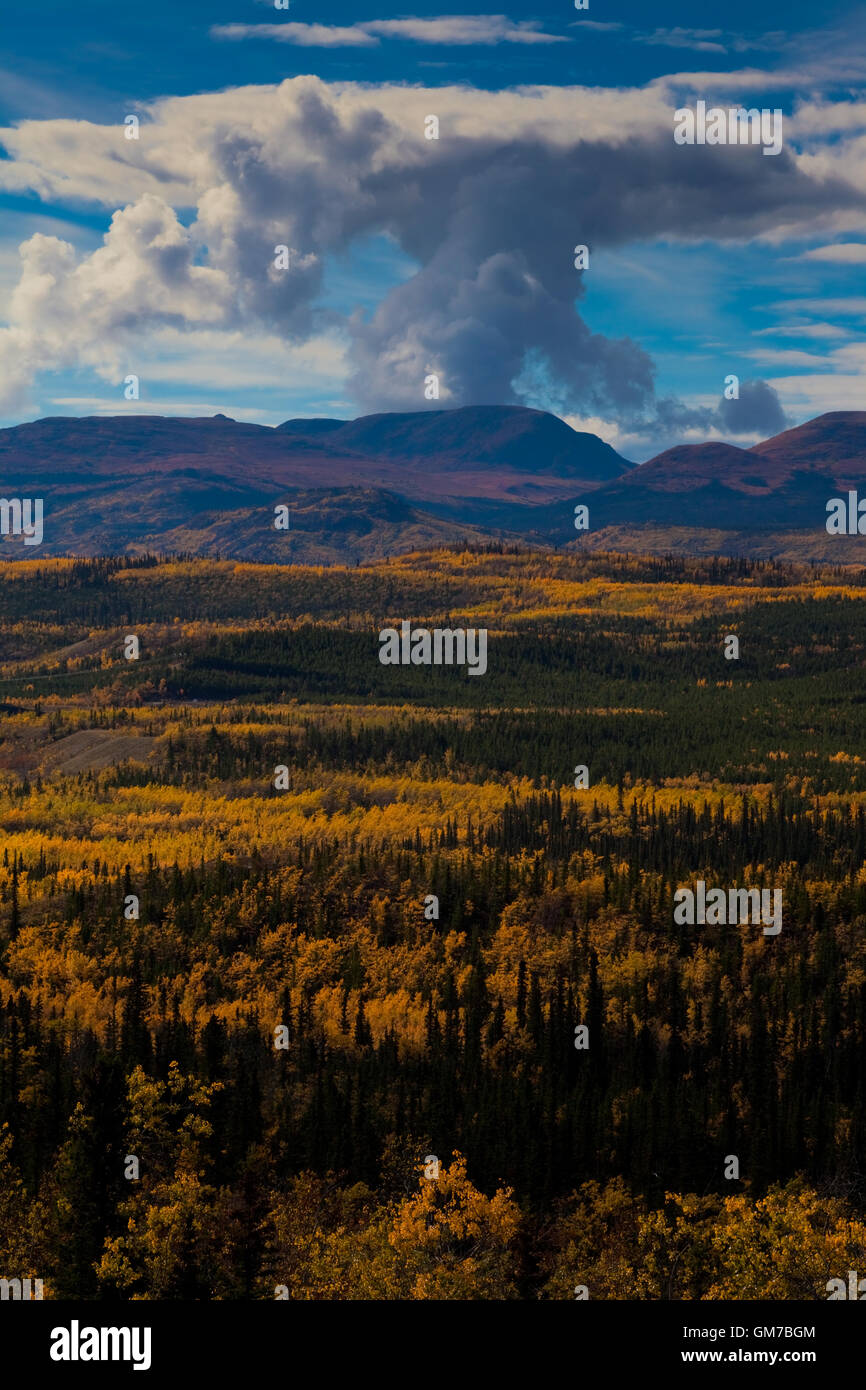 Taiga in Fall Stock Photo - Alamy